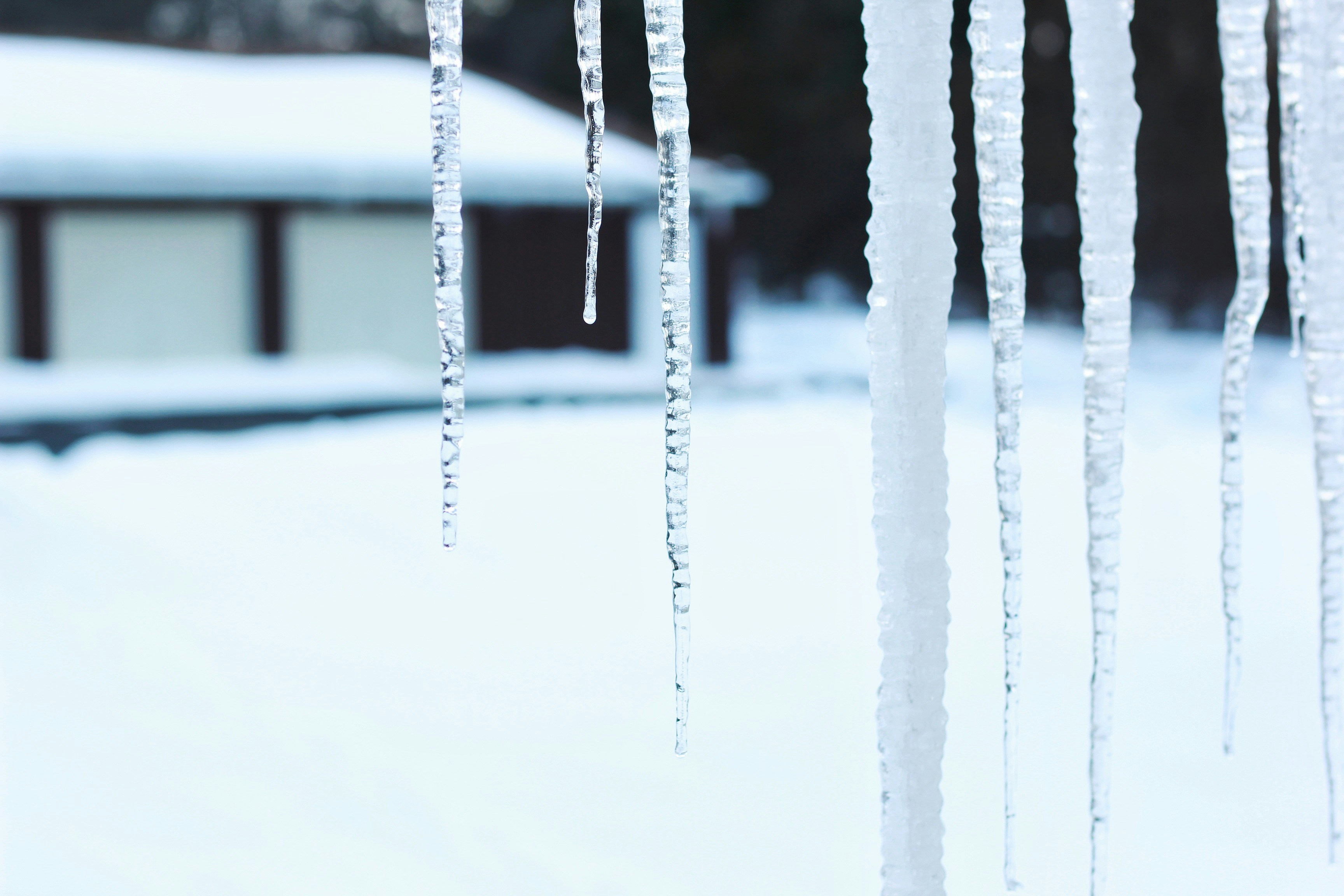 Icicles hanging from a roof, glistening in the winter light against a backdrop of snow-covered ground and a blurred building.