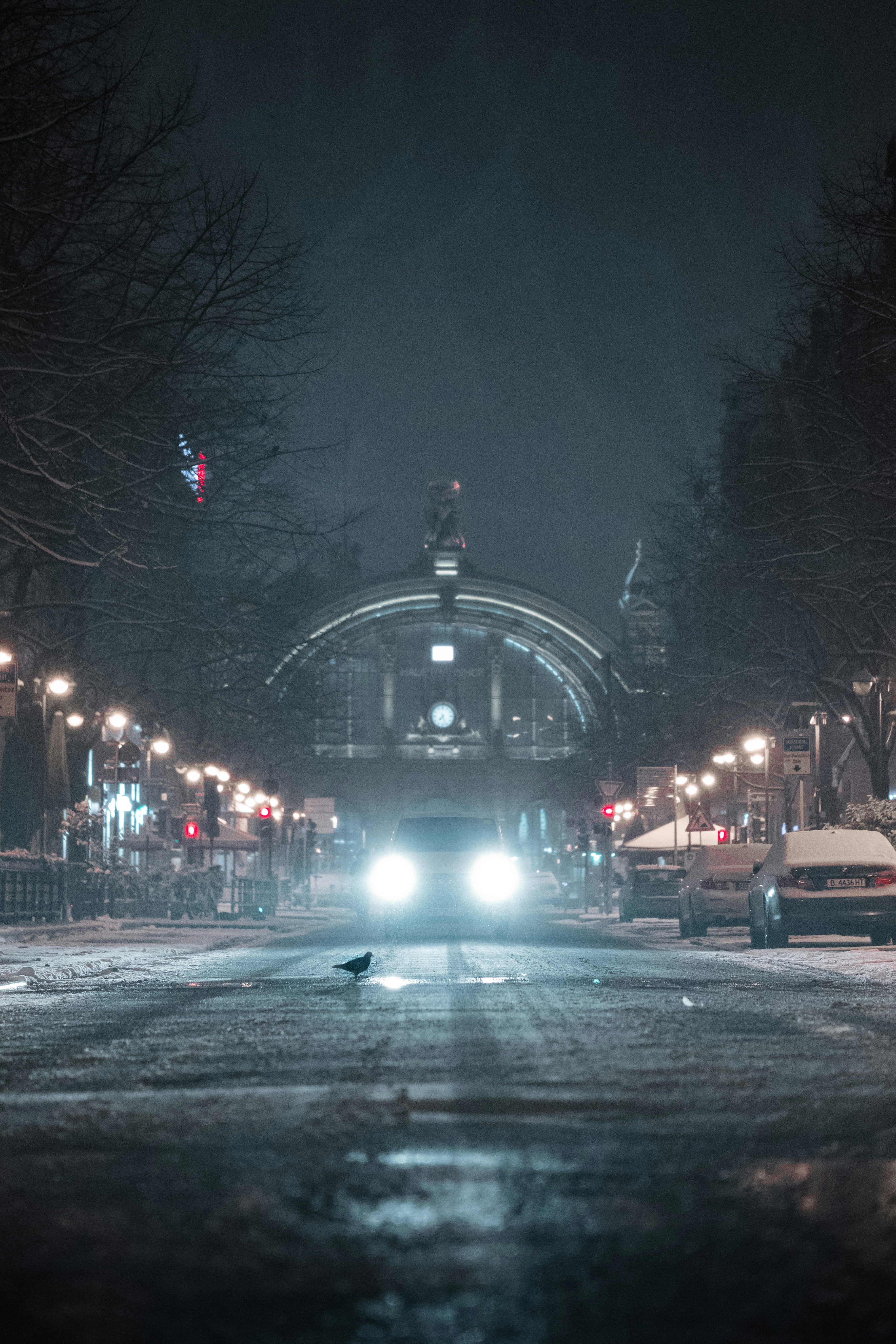 Night Street Confluence: Headlights, Bird, and the Arc of the City