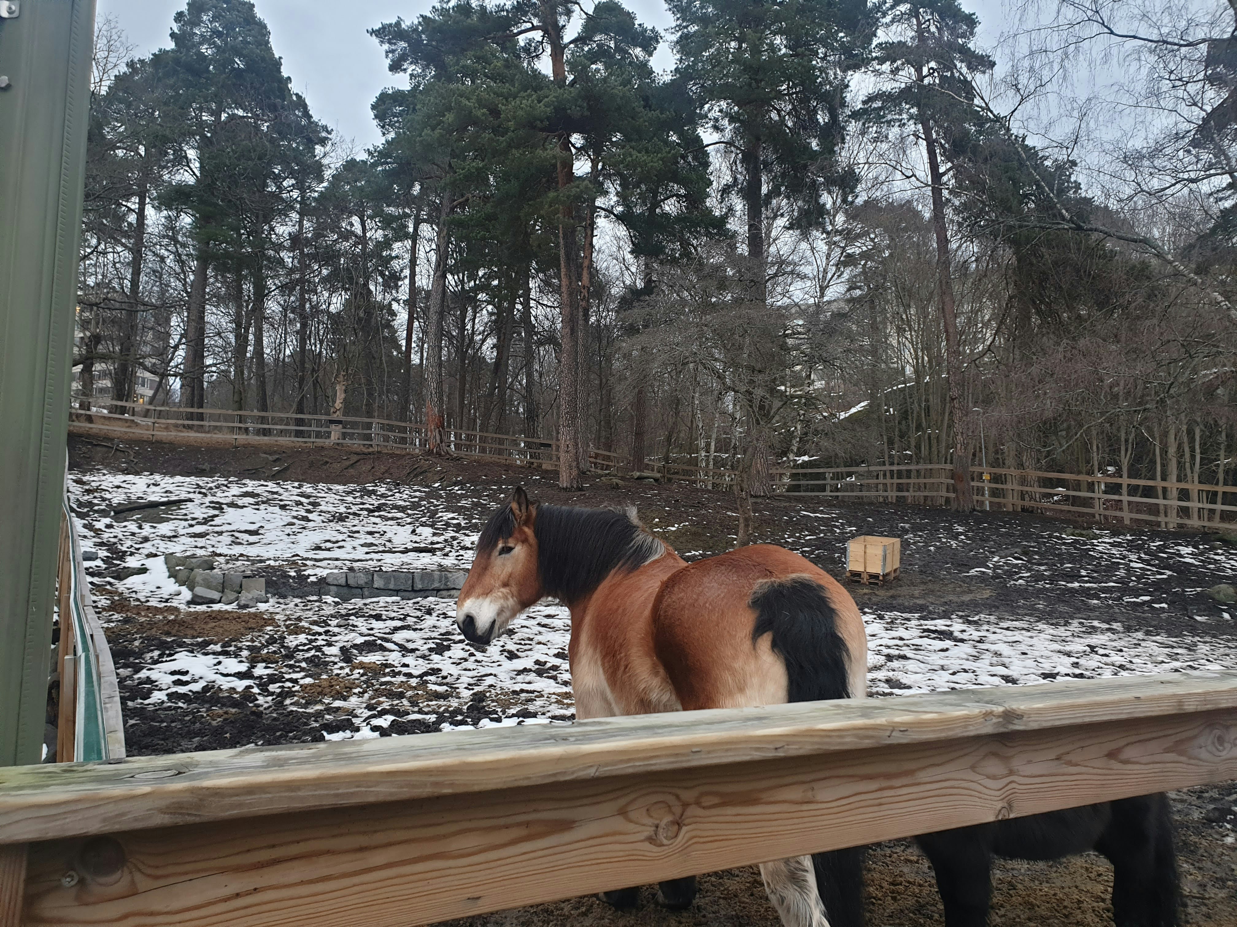 Amita Roy (@amivik_roy) | Comunidade de fotos da Unsplash