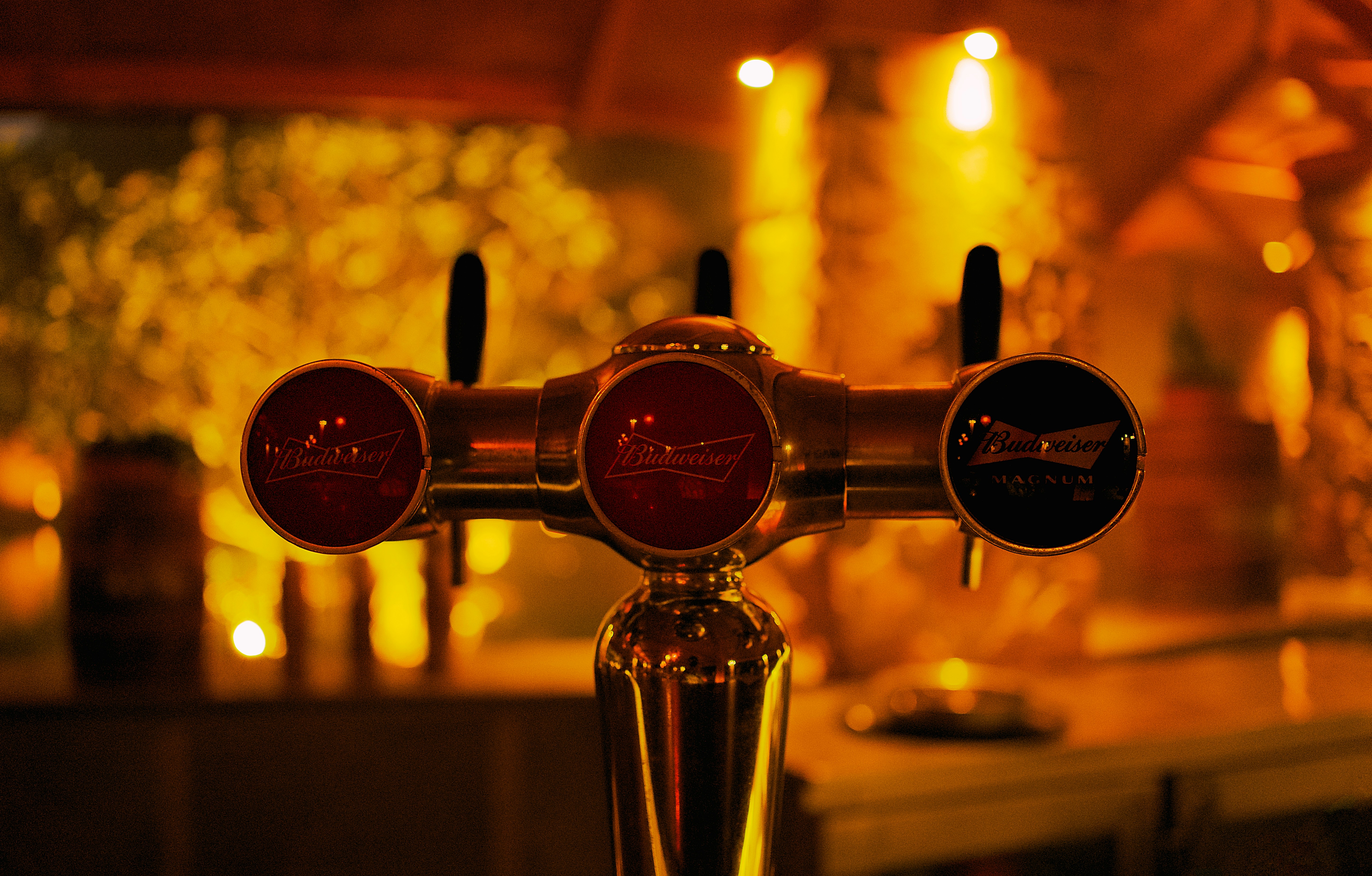Amber-lit Tap Handle Portrait