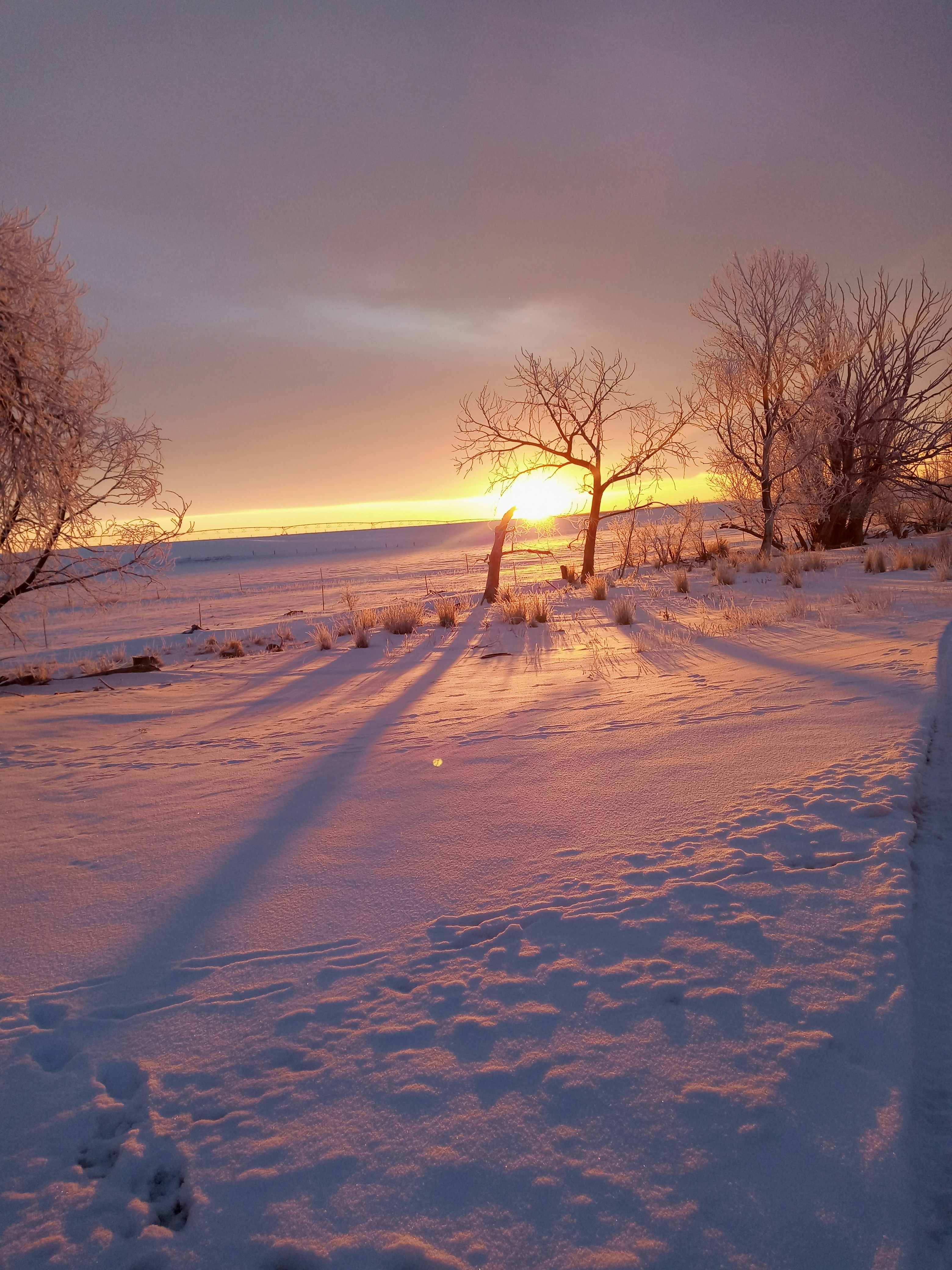 Sunset Snow Pictures | Download Free Images on Unsplash