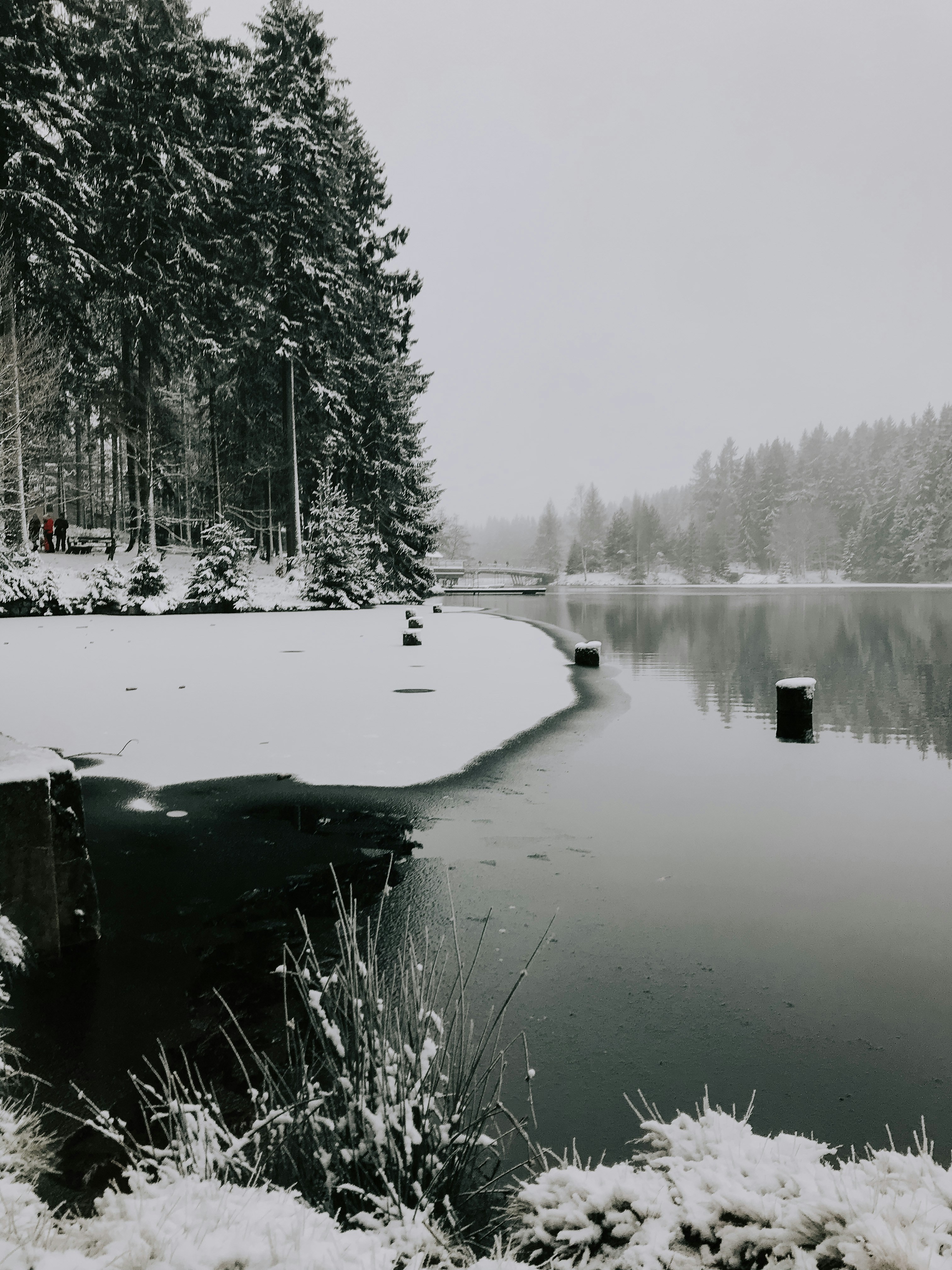 Snow-covered banks of a tranquil lake surrounded by tall evergreen trees, with a hint of mist in the air. The serene landscape invites contemplation.