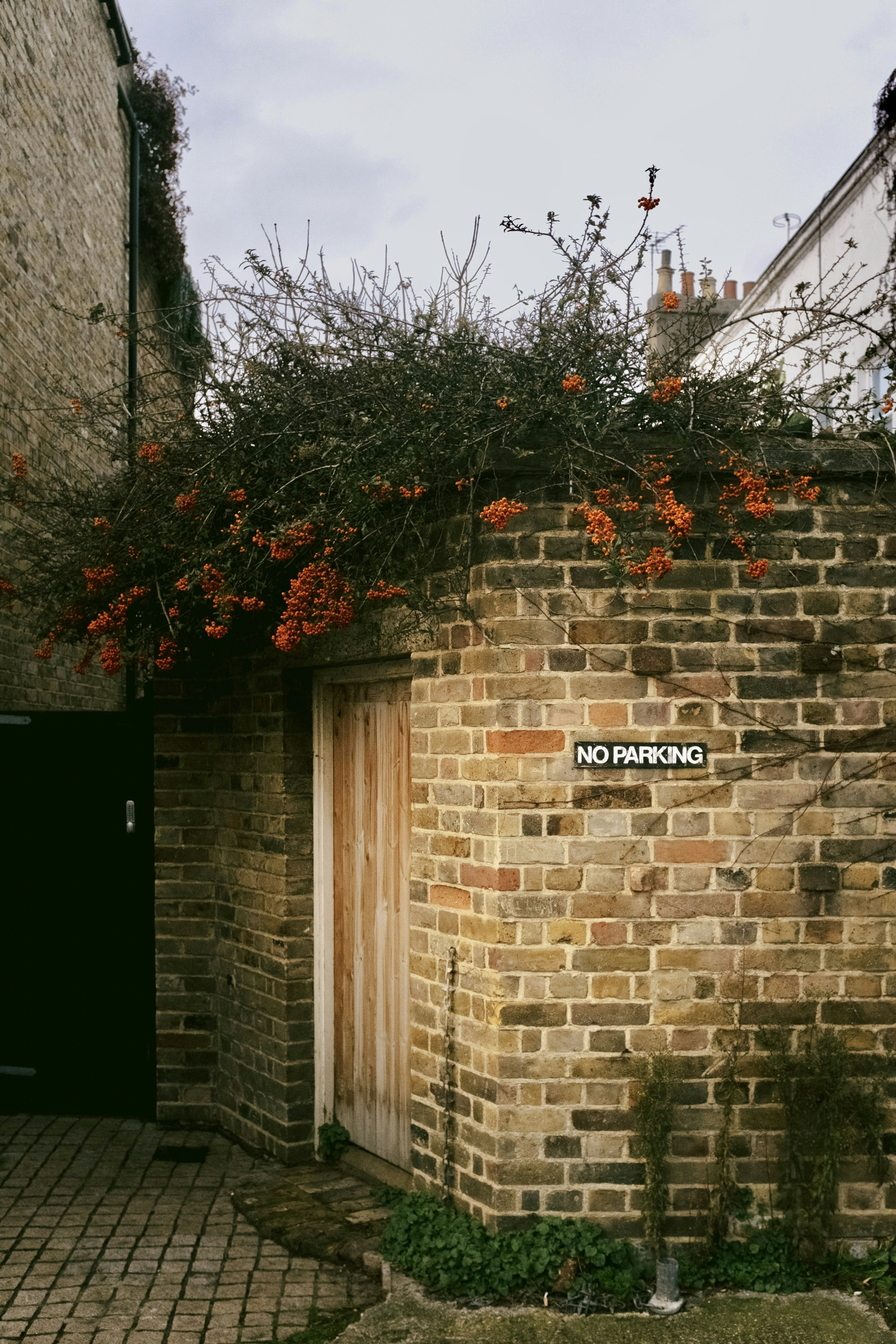 Crimson Vines Over a Brick Corner, Framing a Weathered Door and a Quiet No Parking Sign