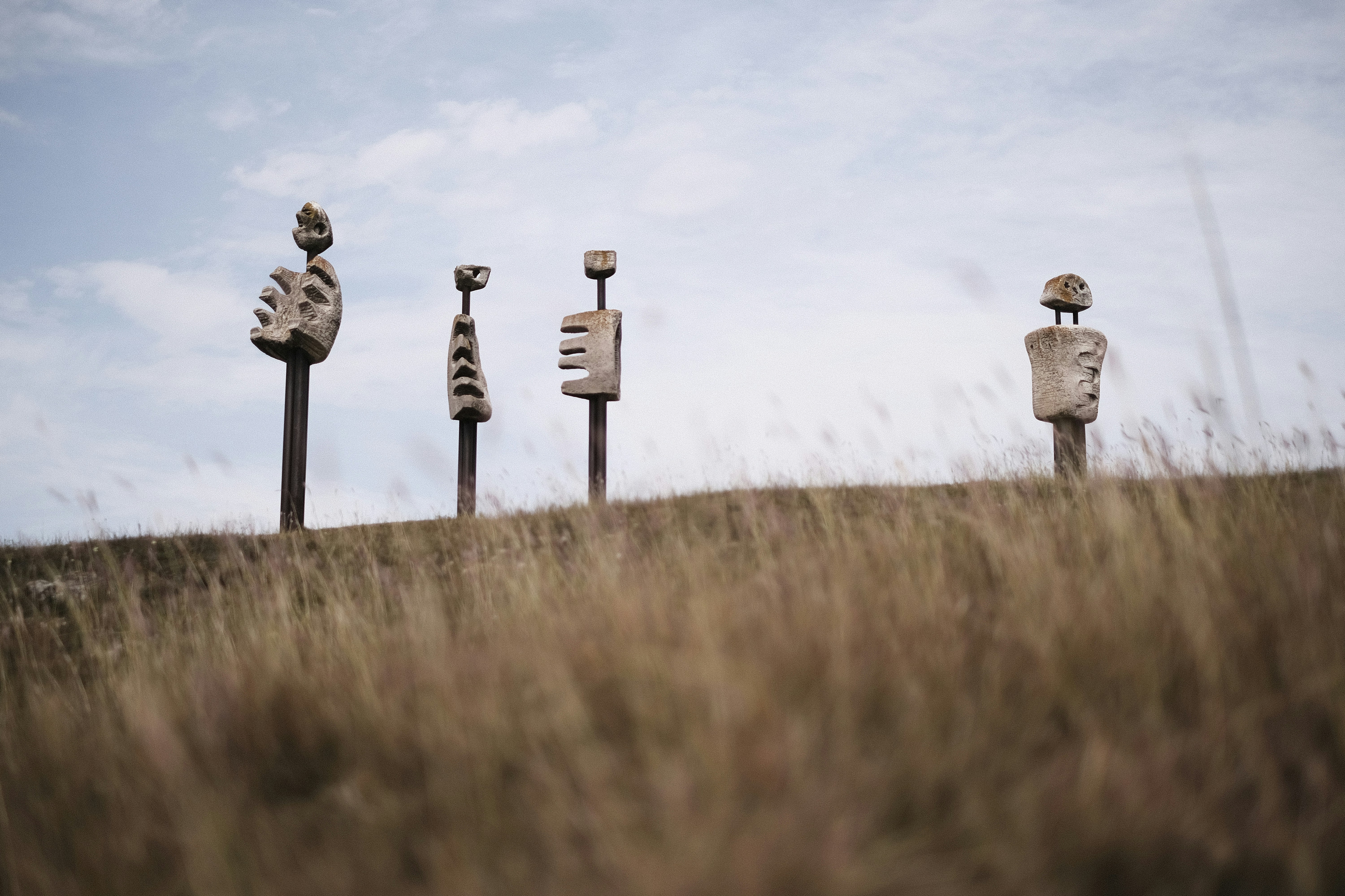 Silent Guardians of the Meadow