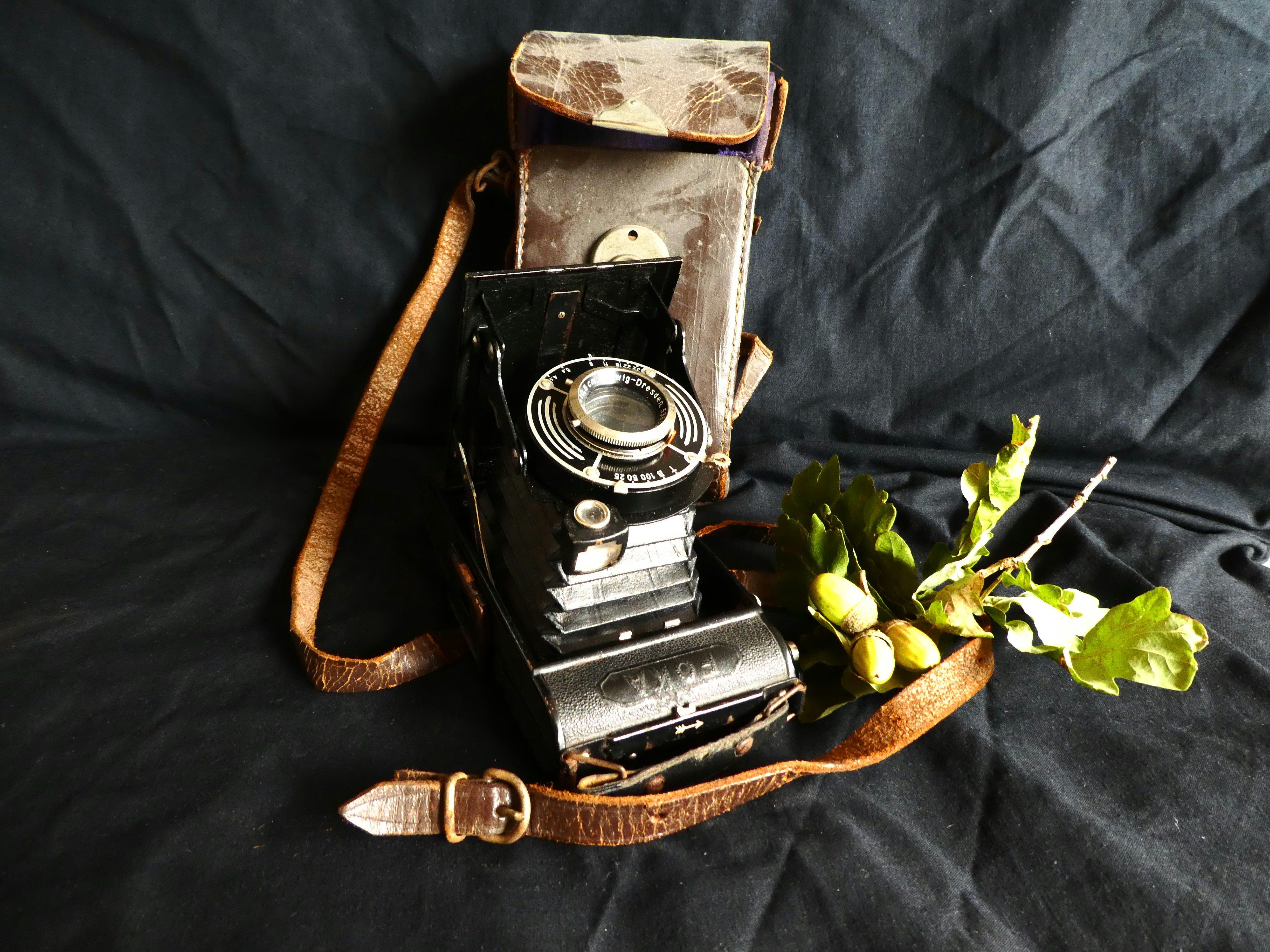 Antique camera resting on a textured surface, accompanied by green leaves and acorns, evoking a sense of history and artistry.