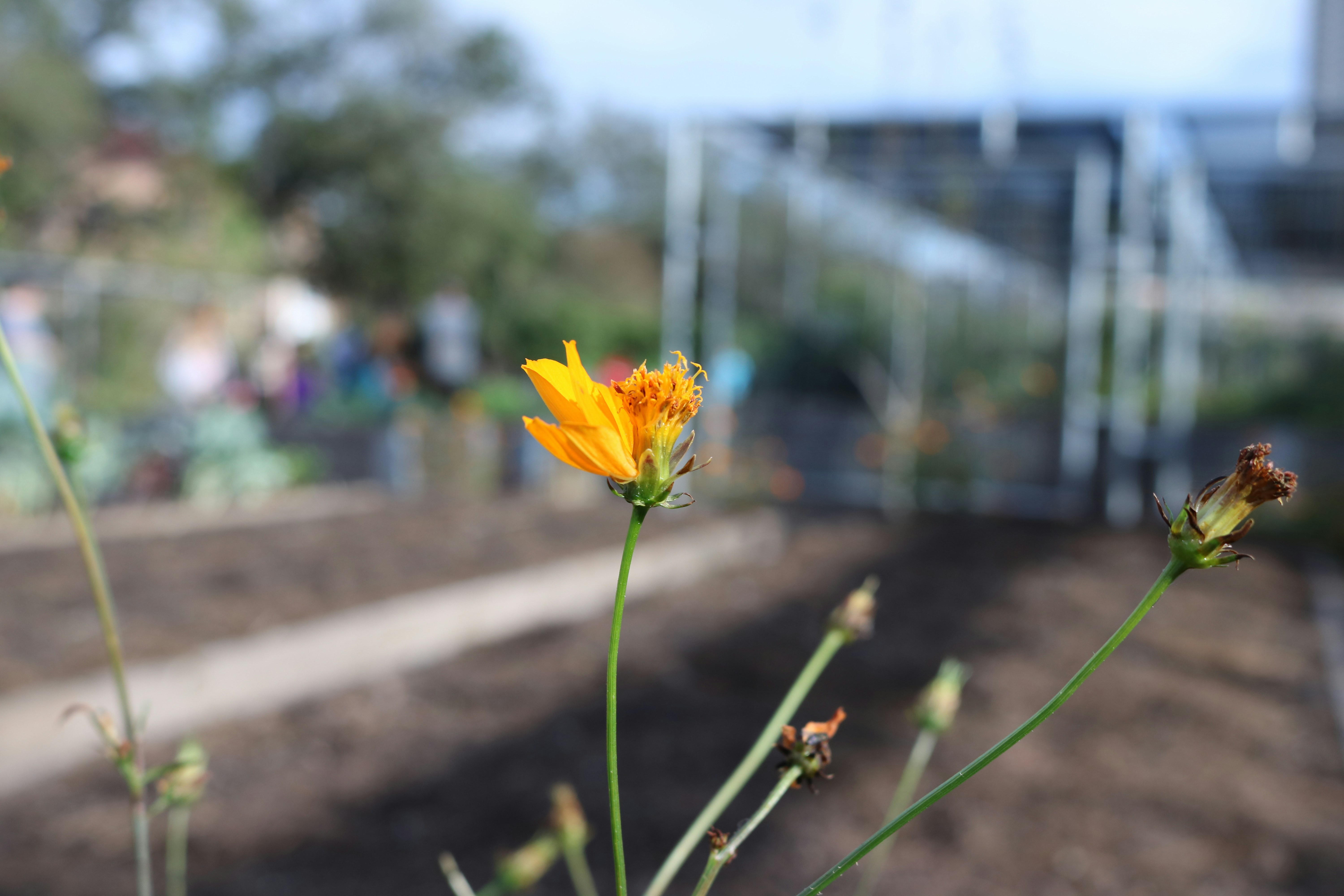 Vicky Quevedo (@vickyquevedo) | Comunidade de fotos da Unsplash