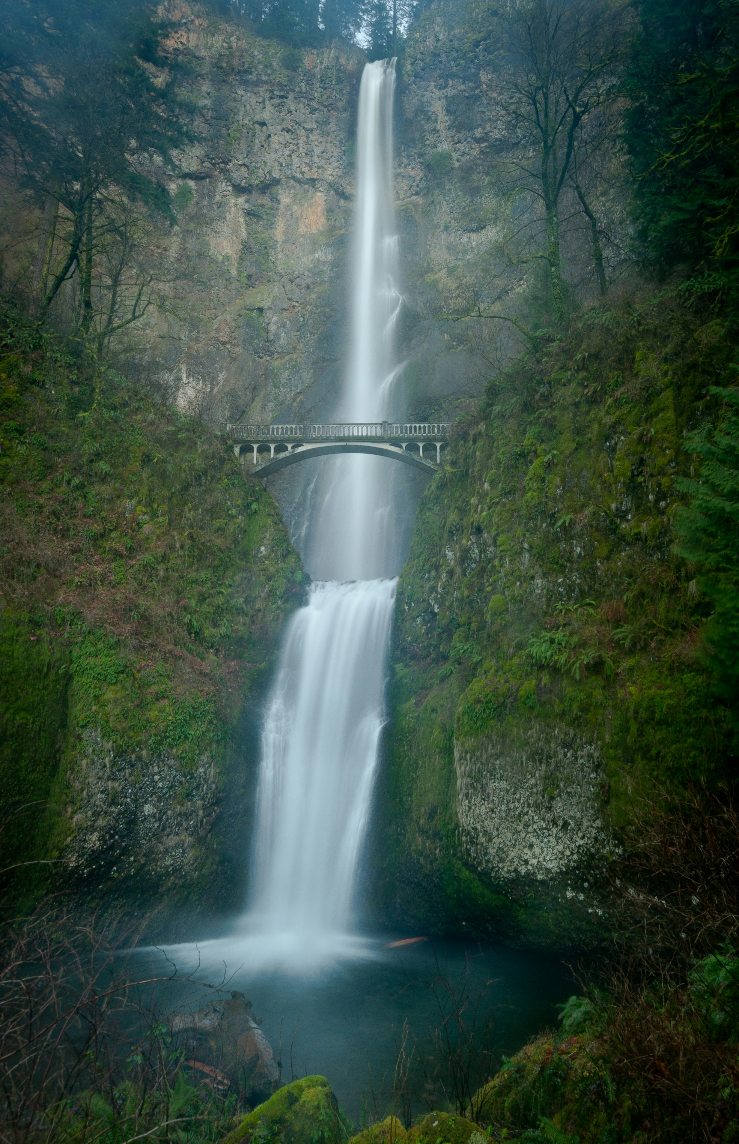 Multnomah Falls Pictures | Download Free Images on Unsplash