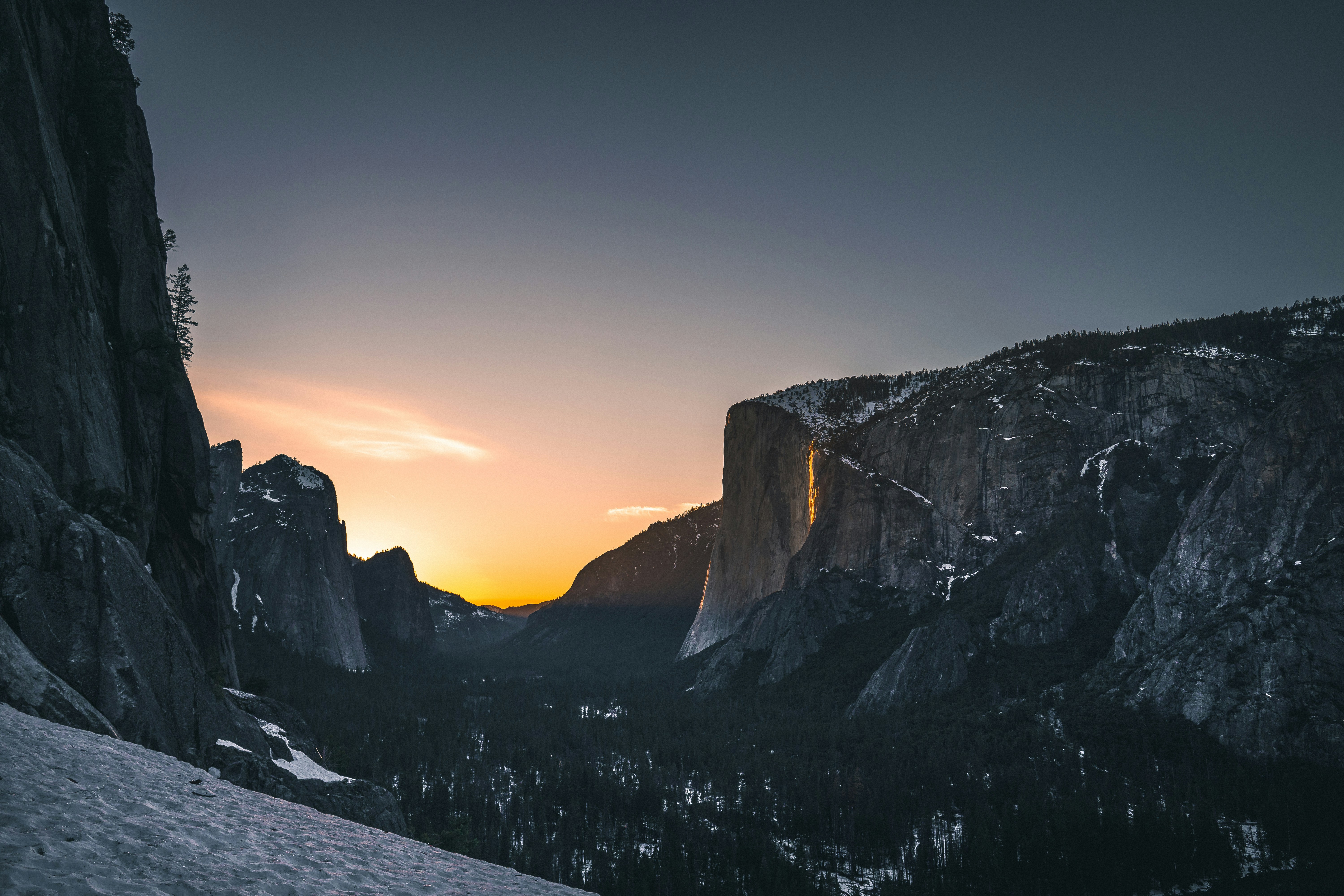 Casey Horner (@mischievous_penguins) | Unsplash Photo Community