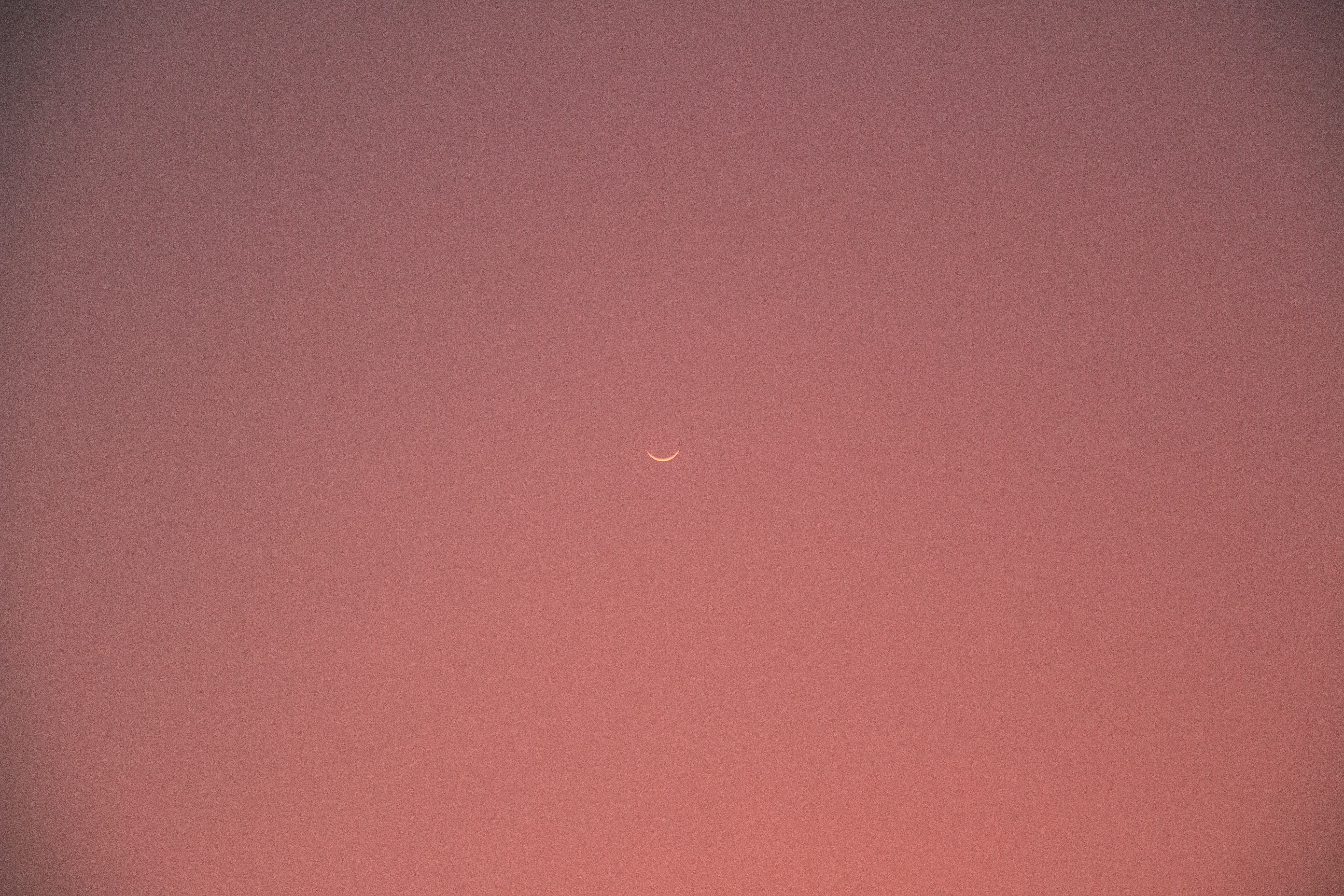 Whispers of the Crescent