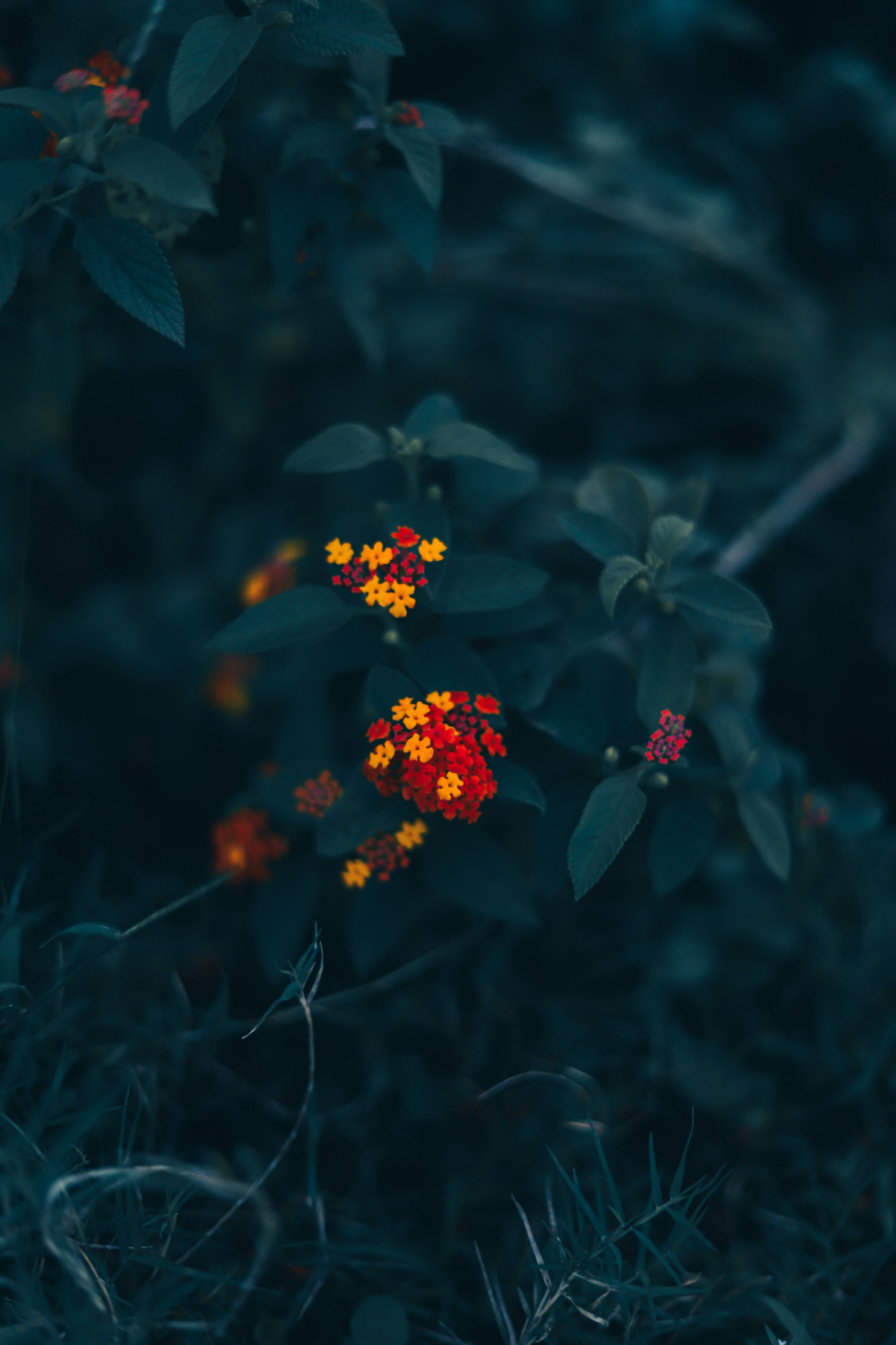 JFE Holdings (5411) - Volume Patterns Indicate Possible Squeeziness ...