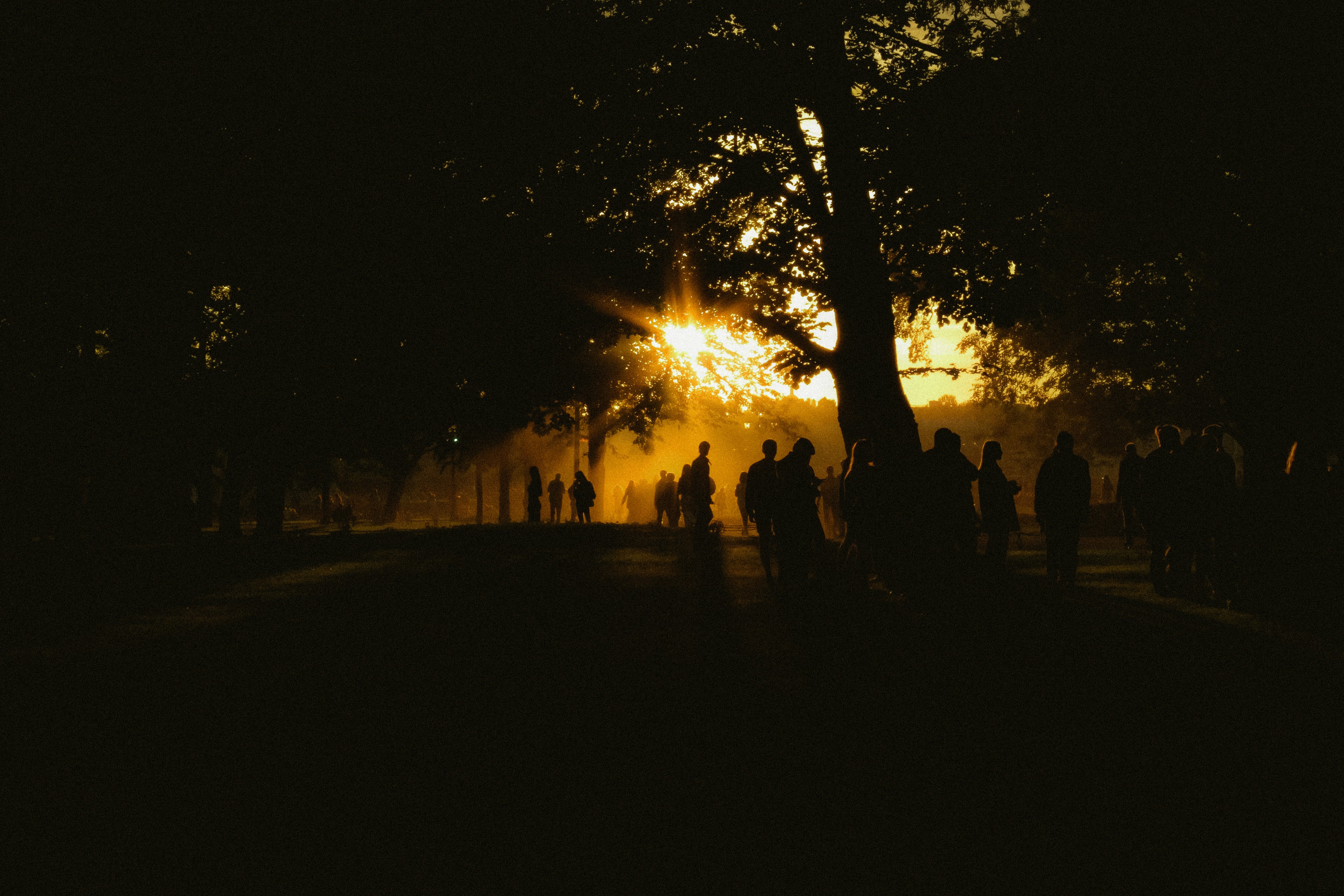 Sun-Touched Park: Silhouettes Move Under a Halo of Light