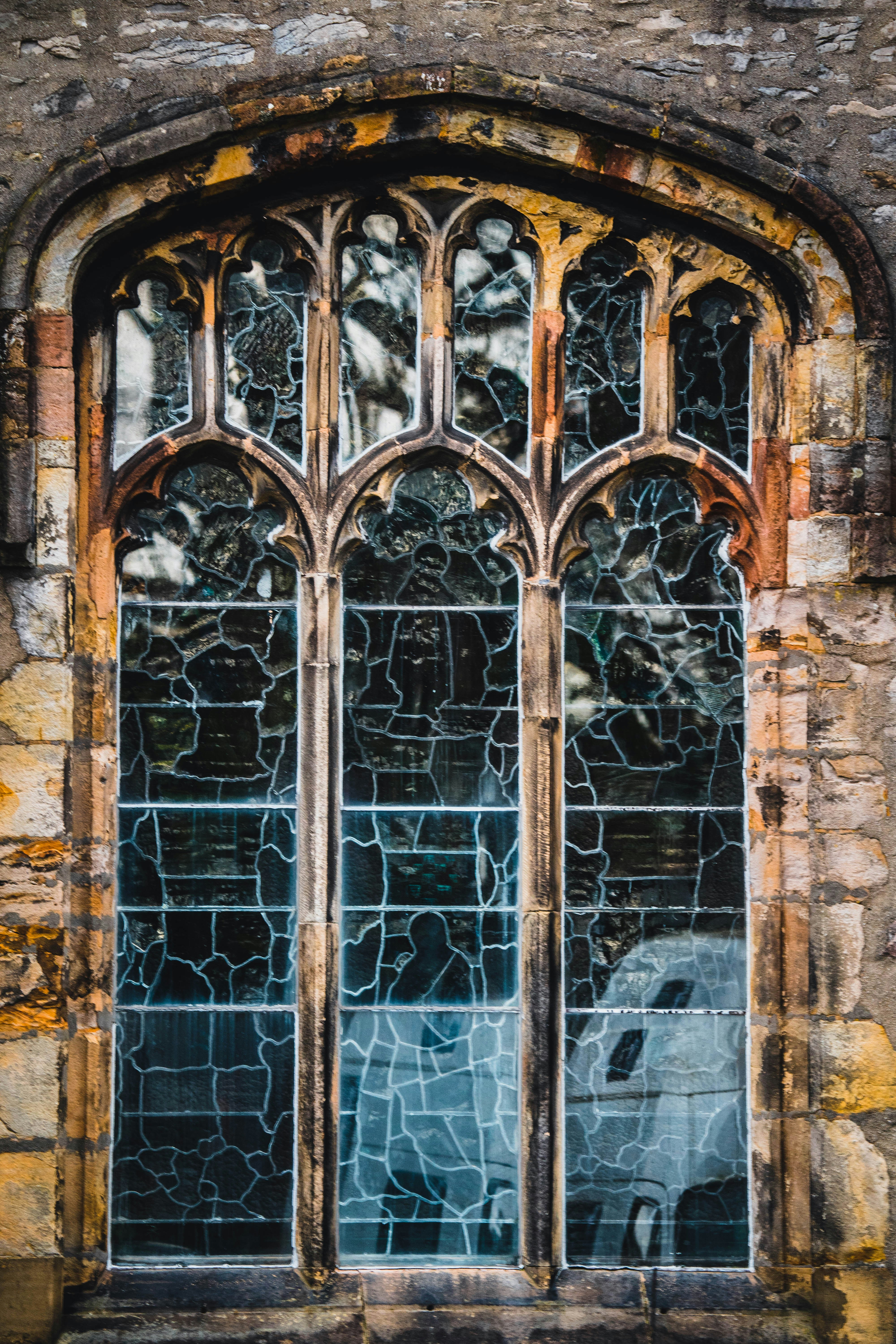 Intricately designed Gothic window with cracked glass reflecting its surroundings, revealing a sense of history and decay.