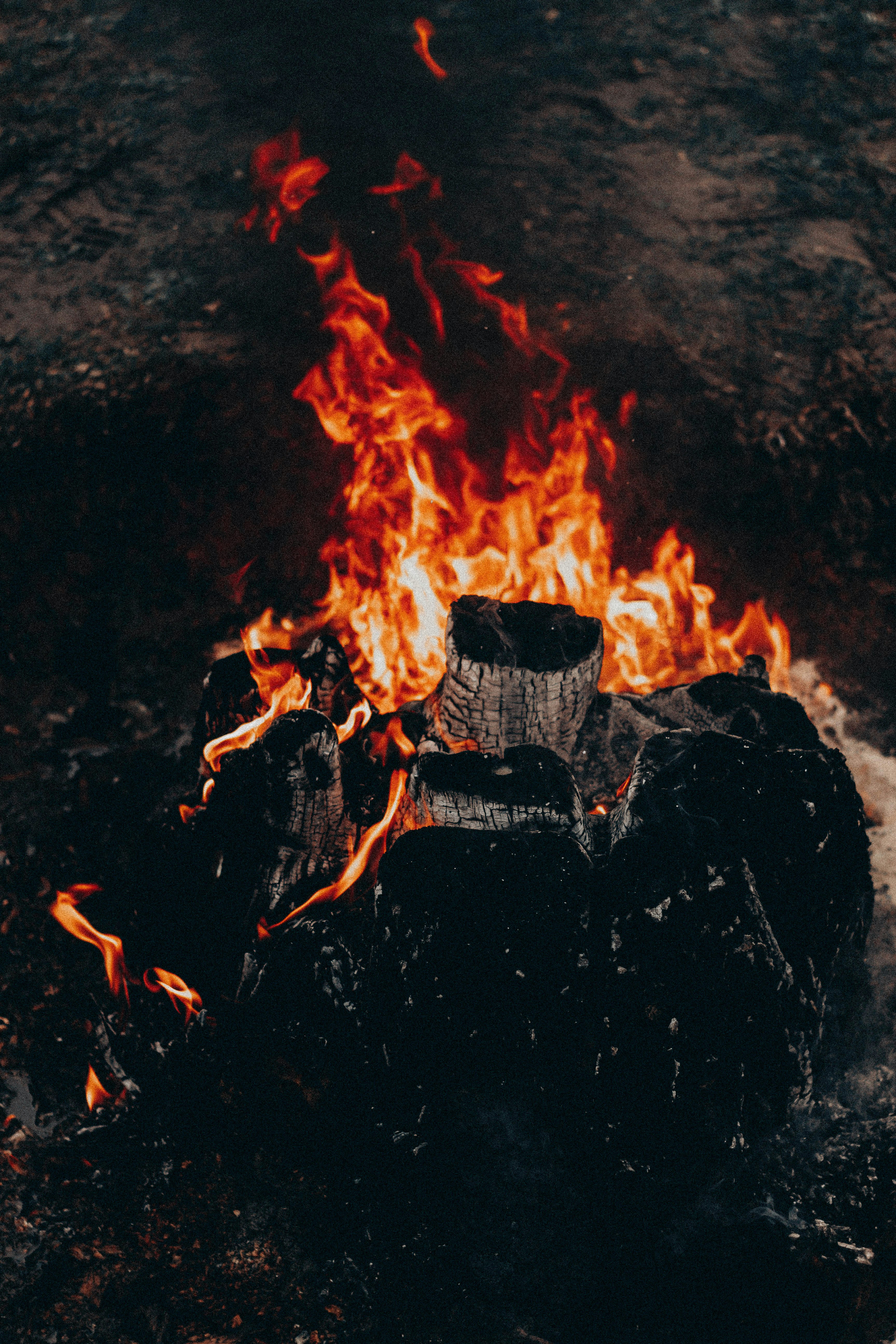 Crackling Core: Ember-lit Logs in a Quiet Campfire Glow