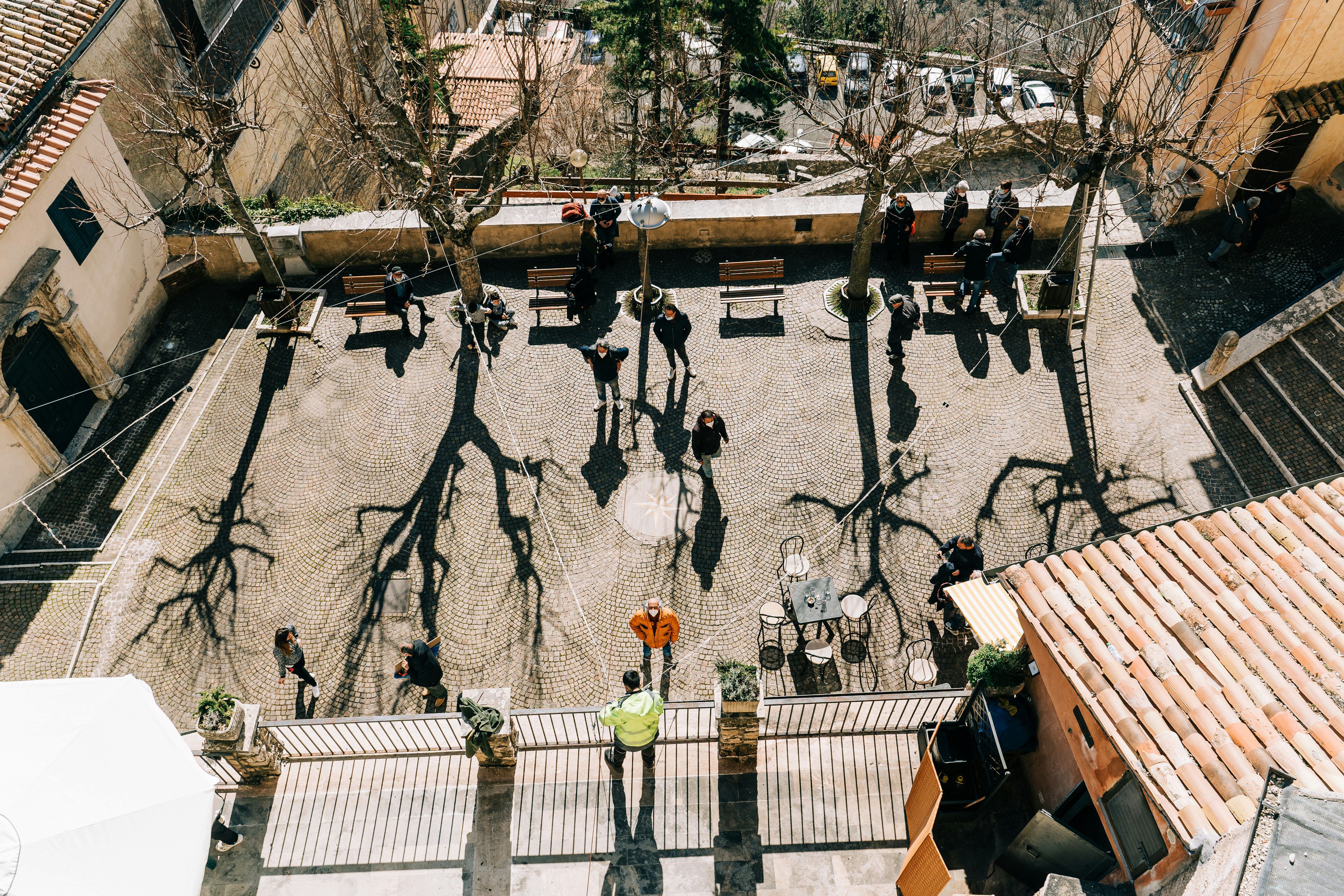 Shadows on the Courtyard: A Bird’s-Eye Conversation