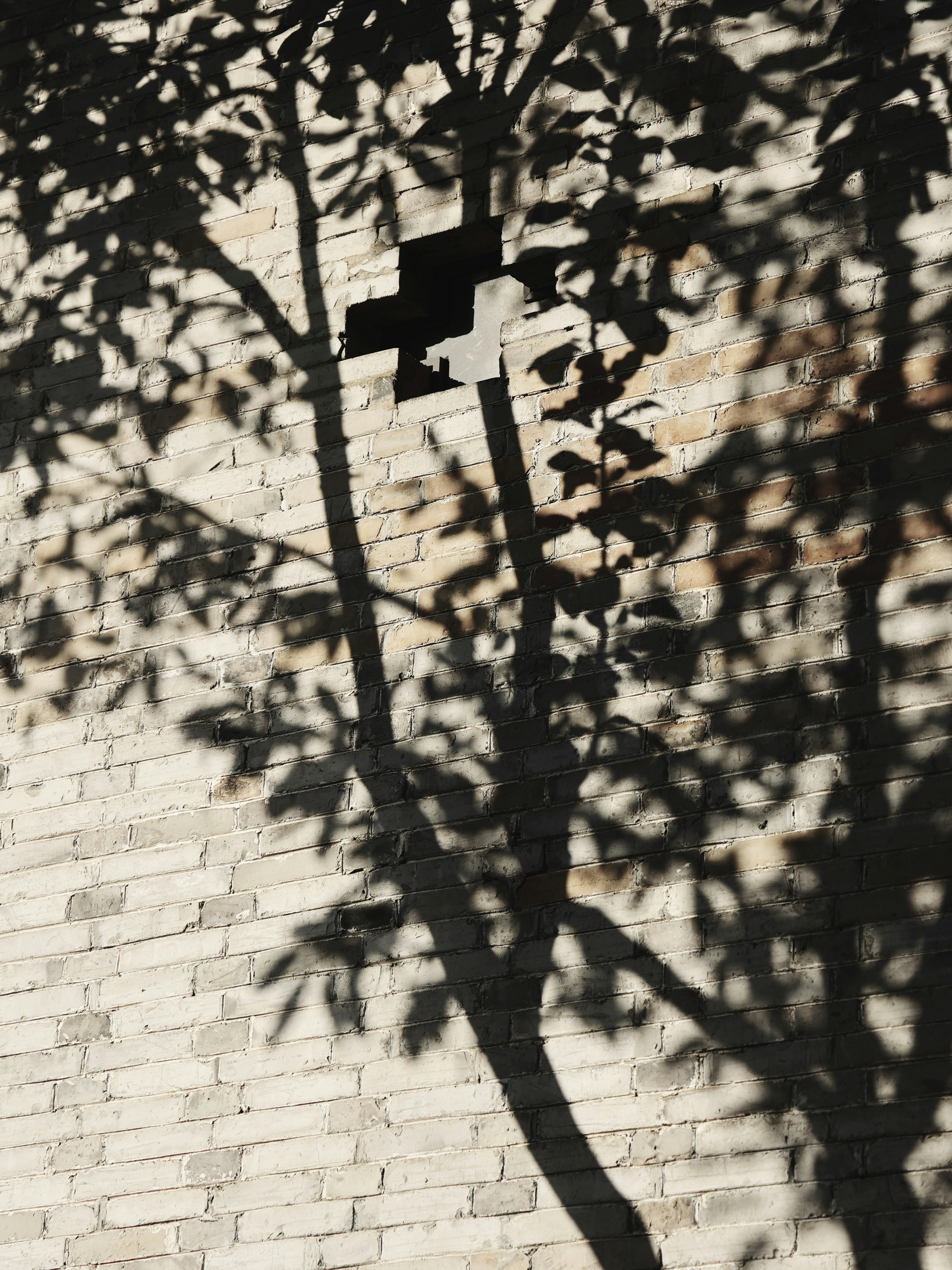 white and black brick wall