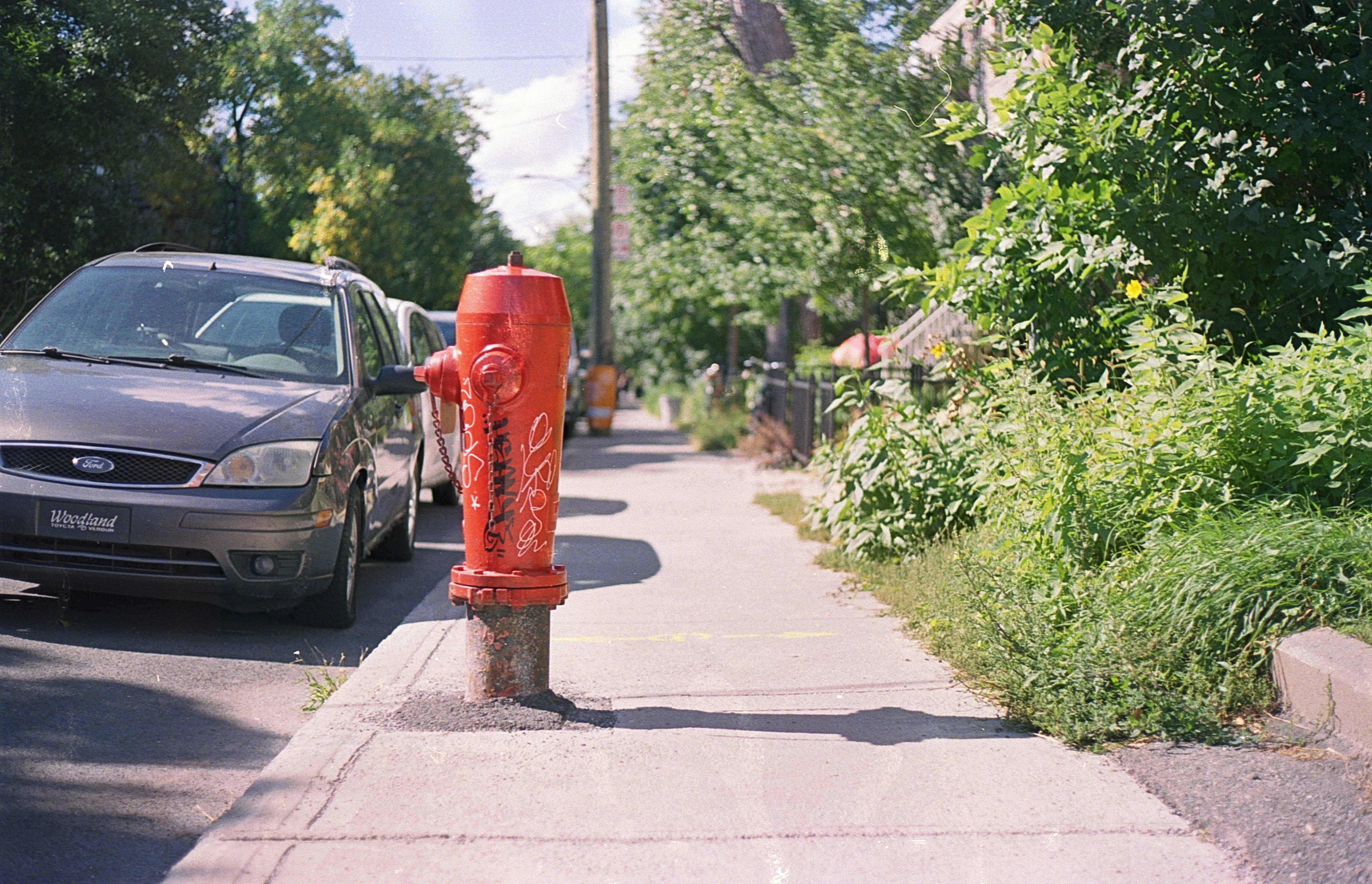 Bright red fire hydrant stands prominently on a sidewalk, surrounded by greenery and a parked car. The scene captures everyday urban life.