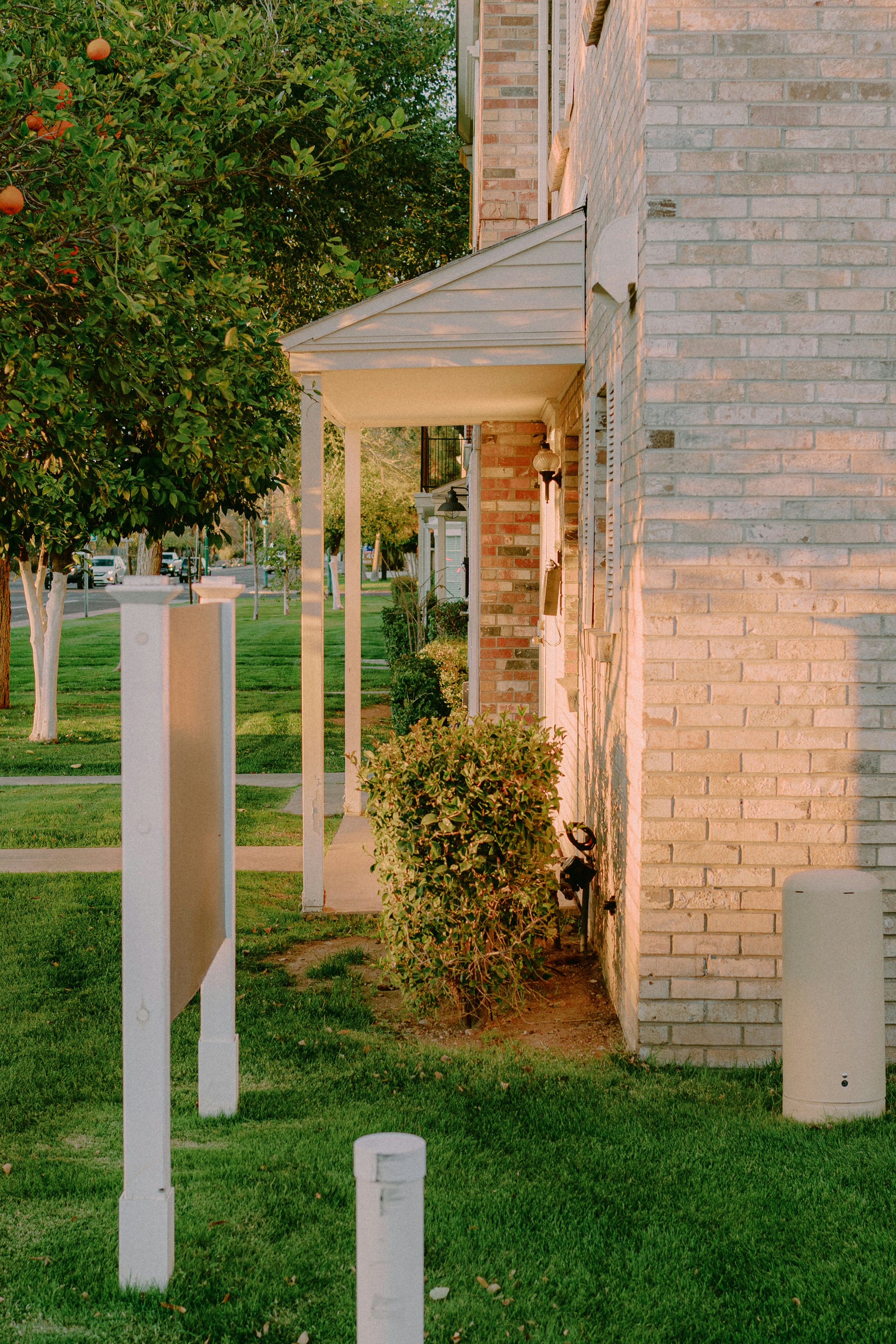 Sunlight casts warm tones on a brick building, framed by lush greenery and a hint of signage nearby.