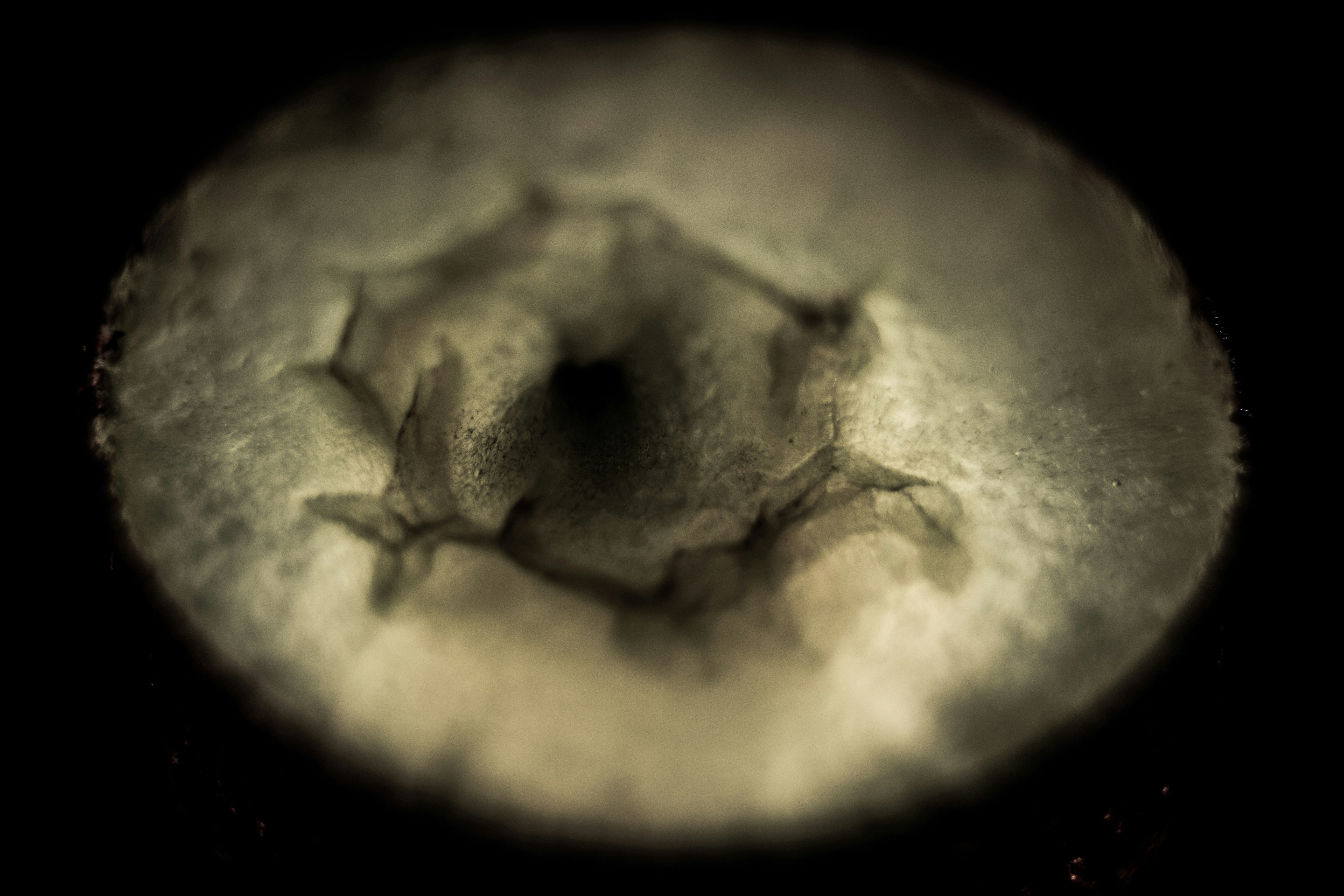 Probe - by Johnathan Reid - The Consilience Series