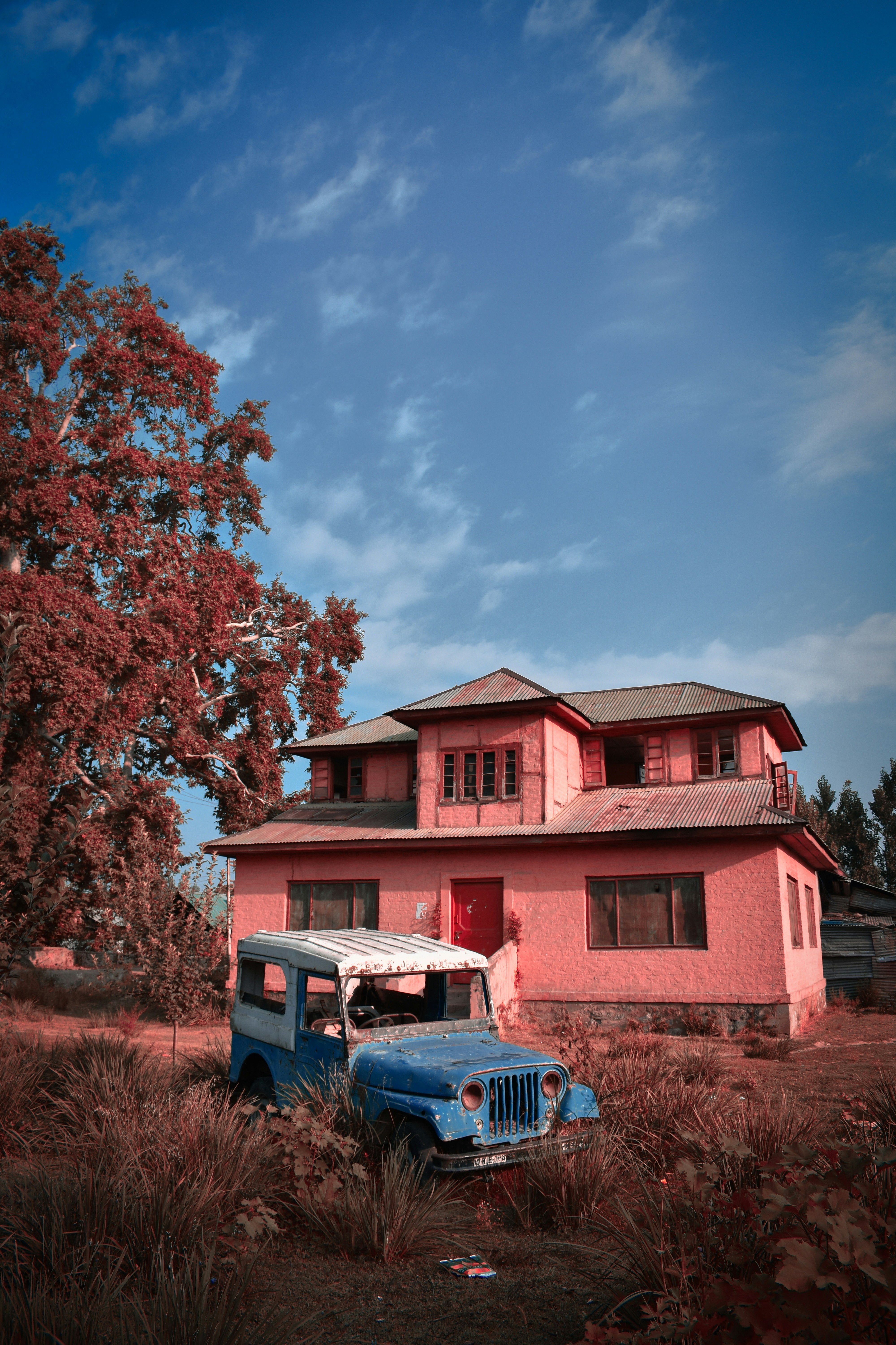 Crimson House and the Blue Jeep: A Quiet Yard in Infrared Light