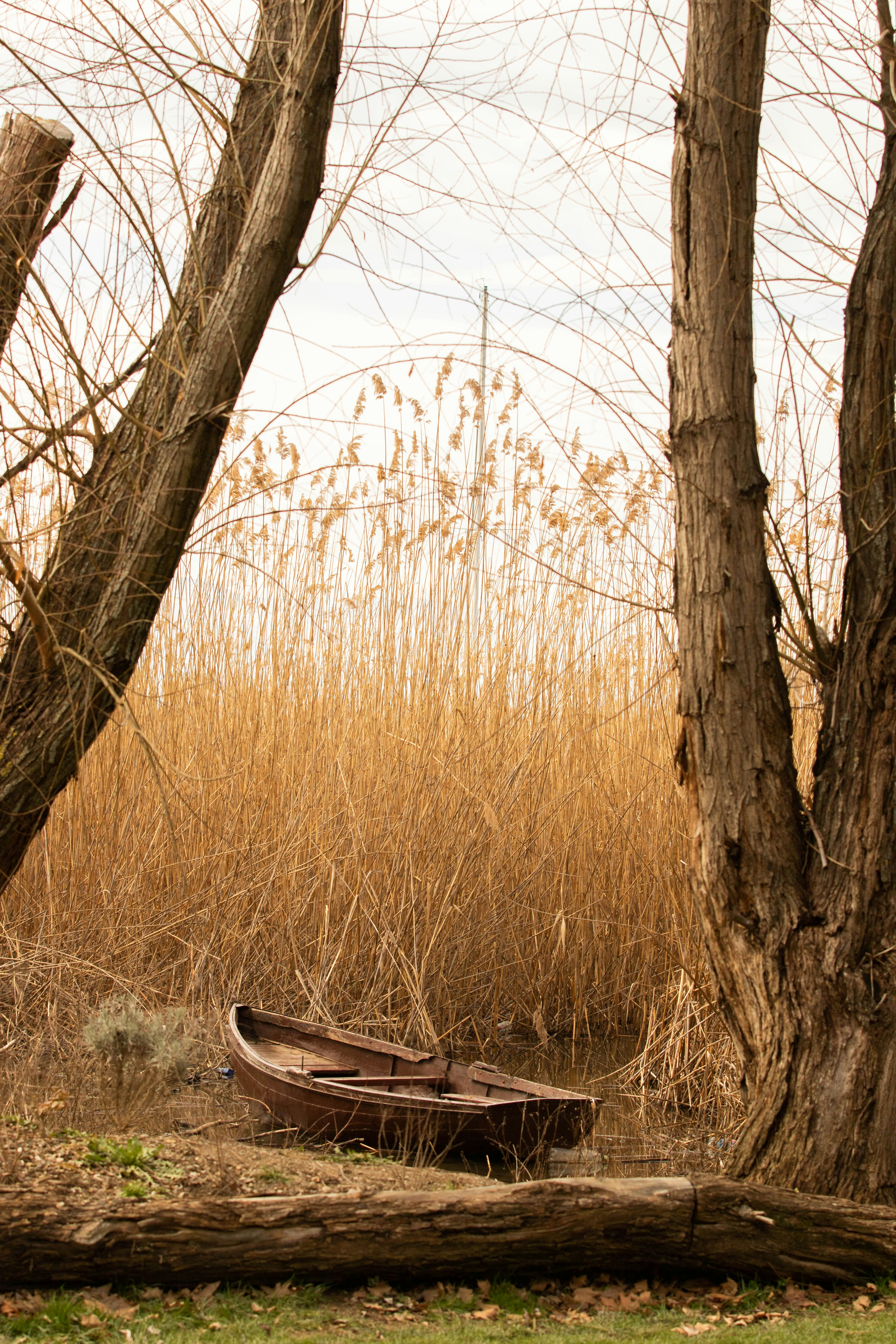 Brown canoe on brown grass field during daytime photo – Free Boat Image ...