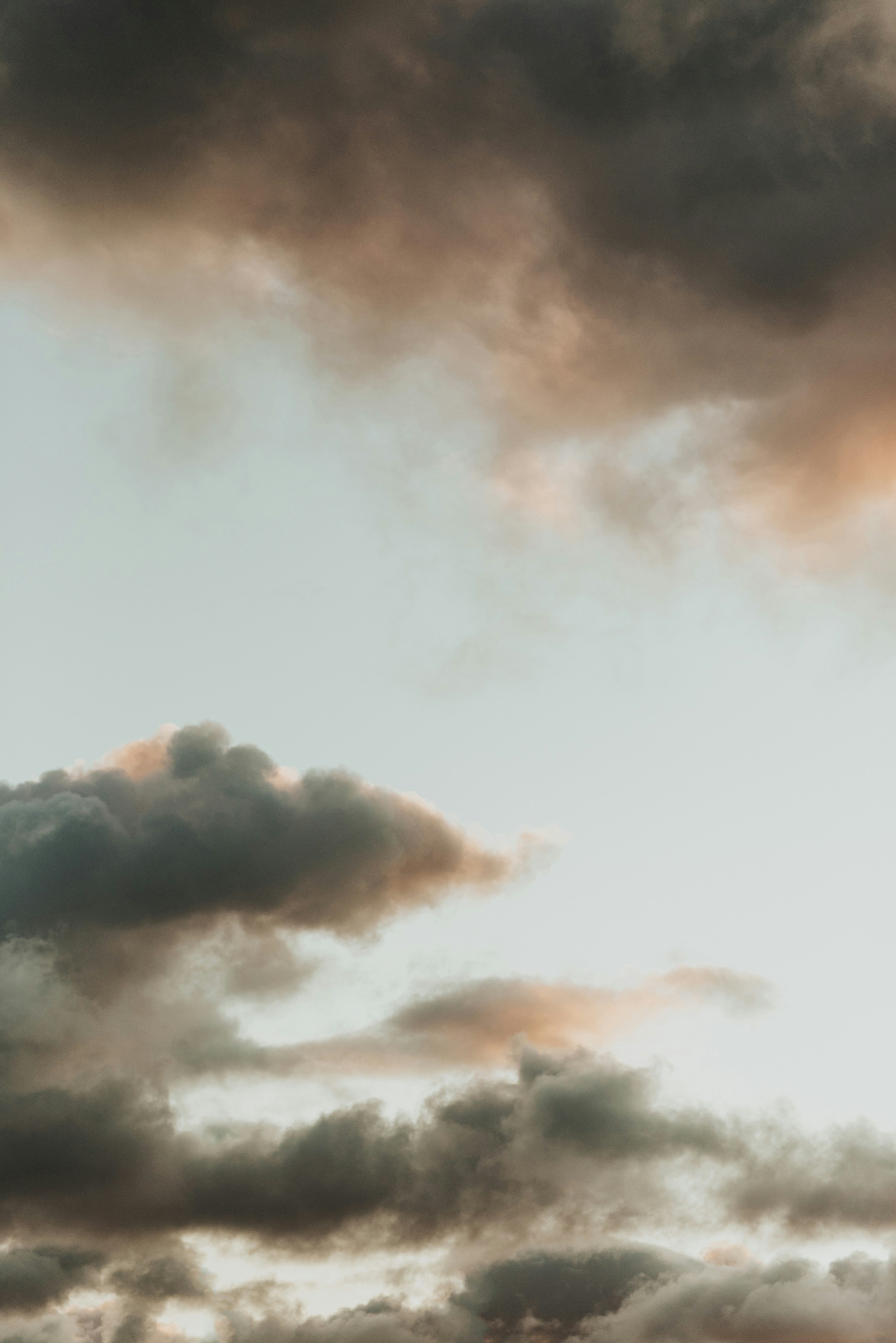 Rizz Pictures | Download Free Images on Unsplash