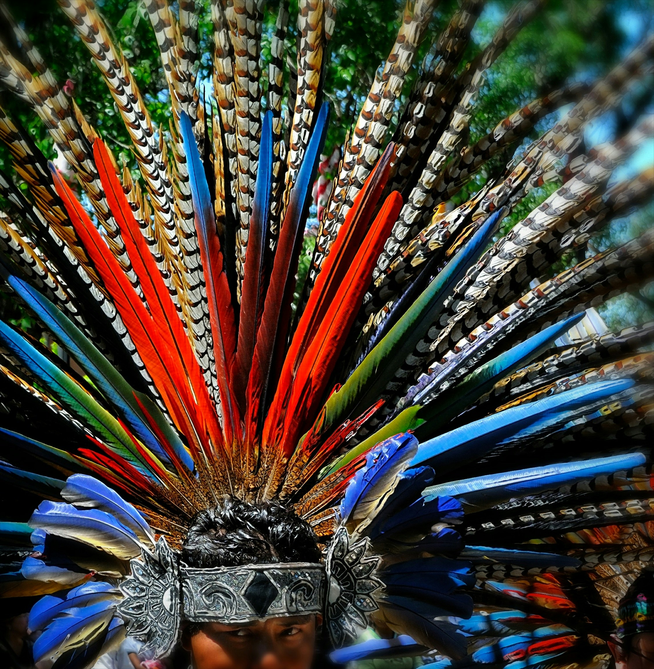 Indigenous performer adorned with a colorful feather headdress, showcasing cultural pride during a traditional celebration.