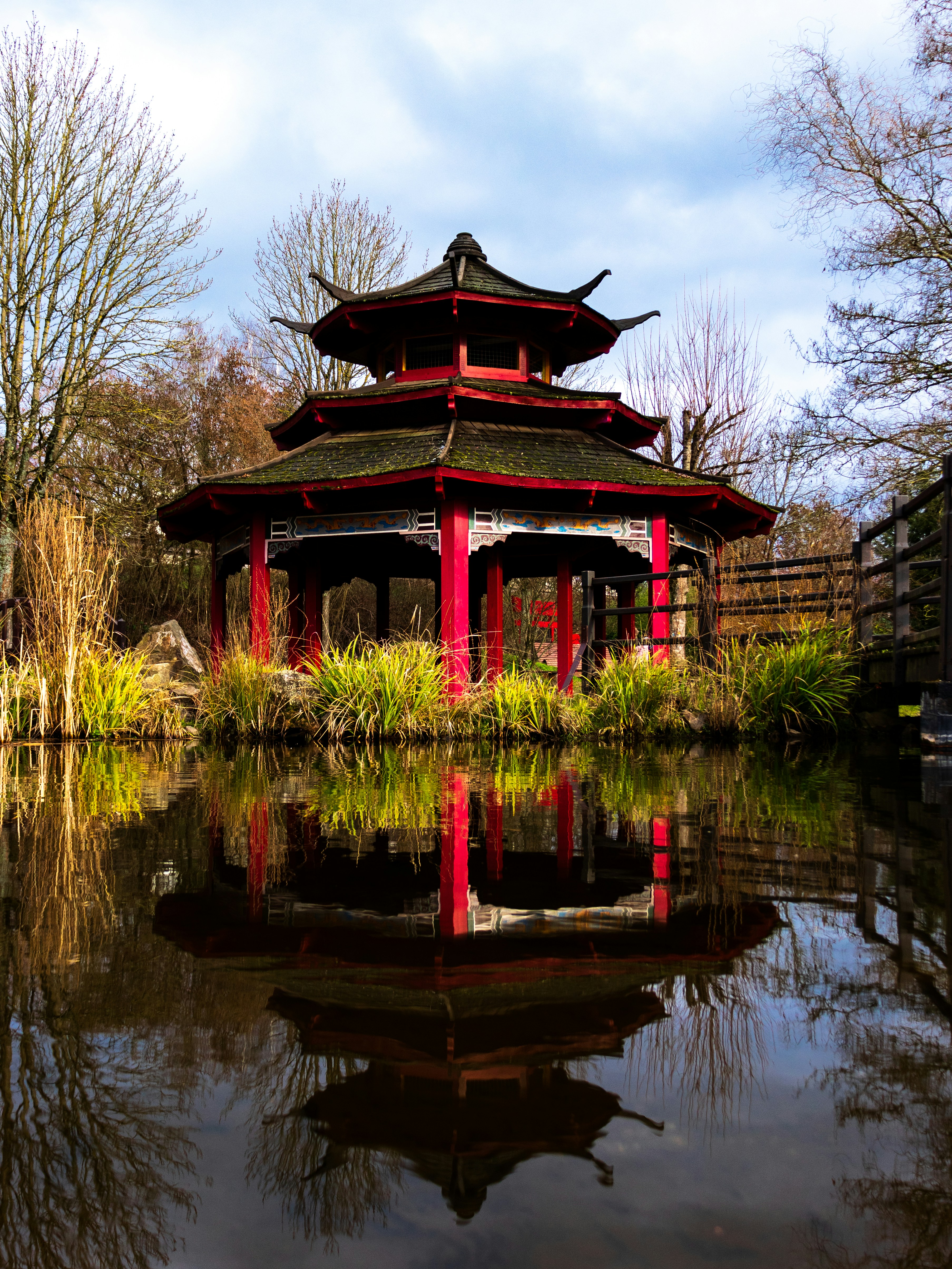 Reflection of Asian Garden
