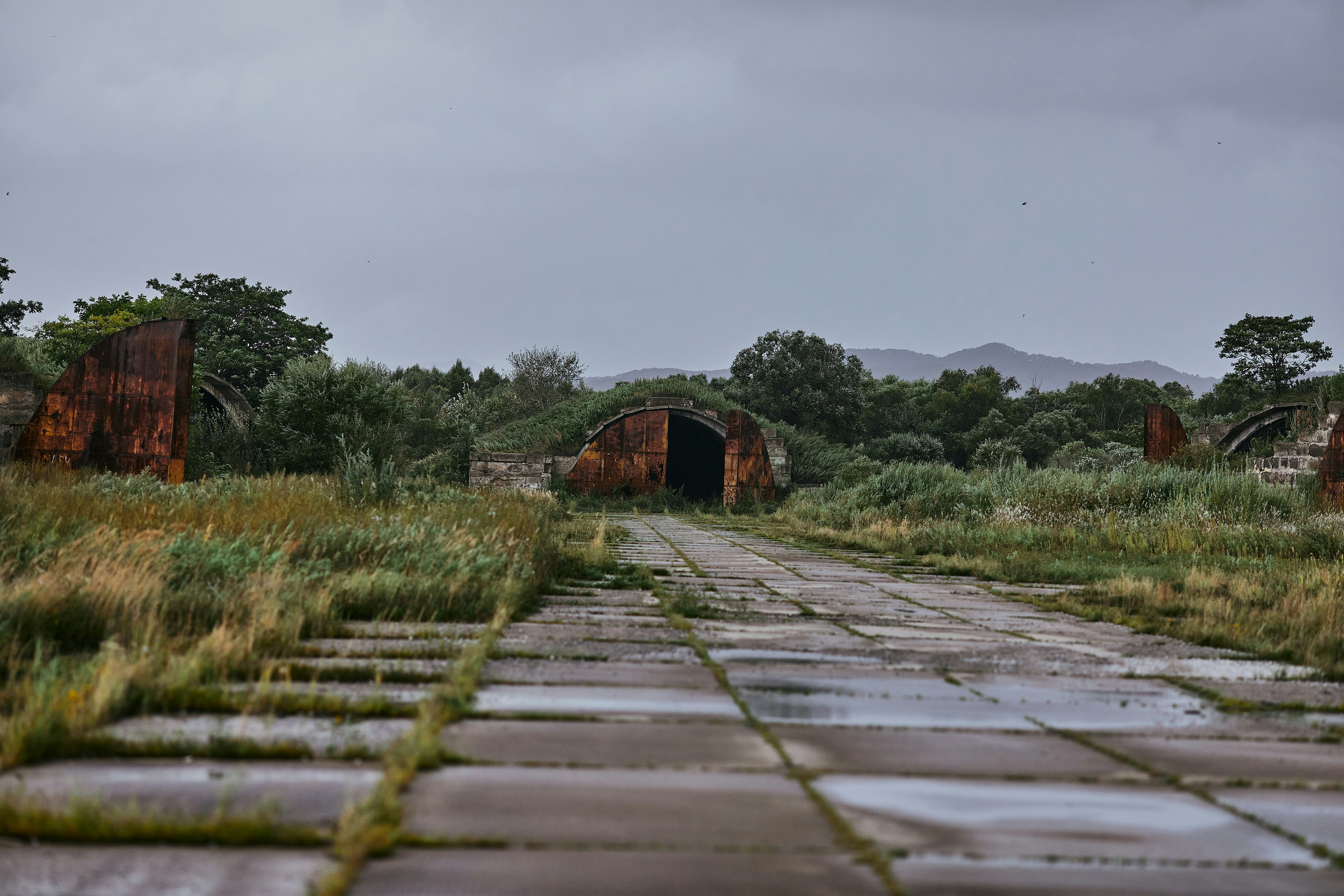Echoes of the Past: A Forgotten Pathway