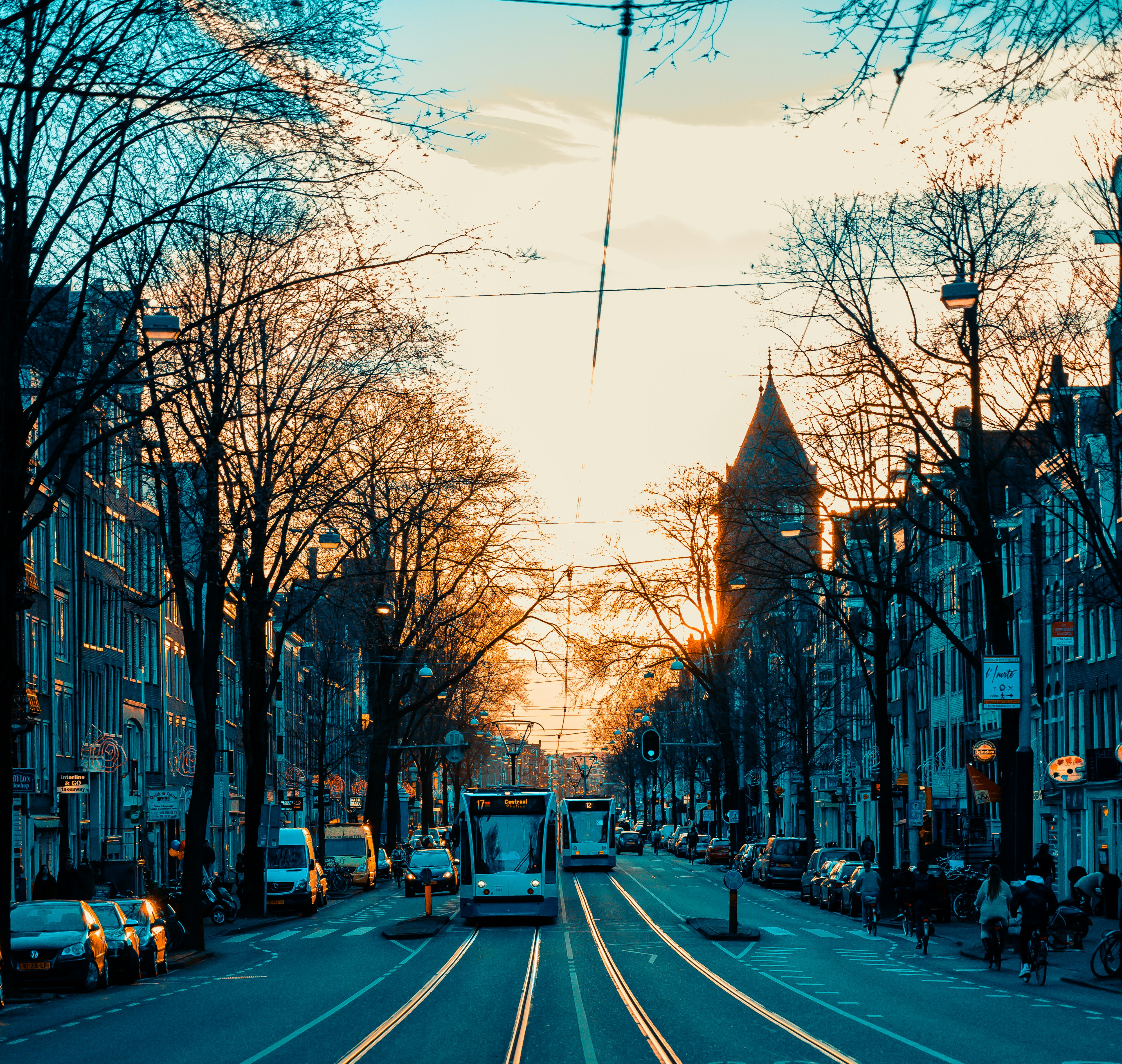 Tram navigating a tree-lined street in Amsterdam during twilight, with historical architecture framing the scene.