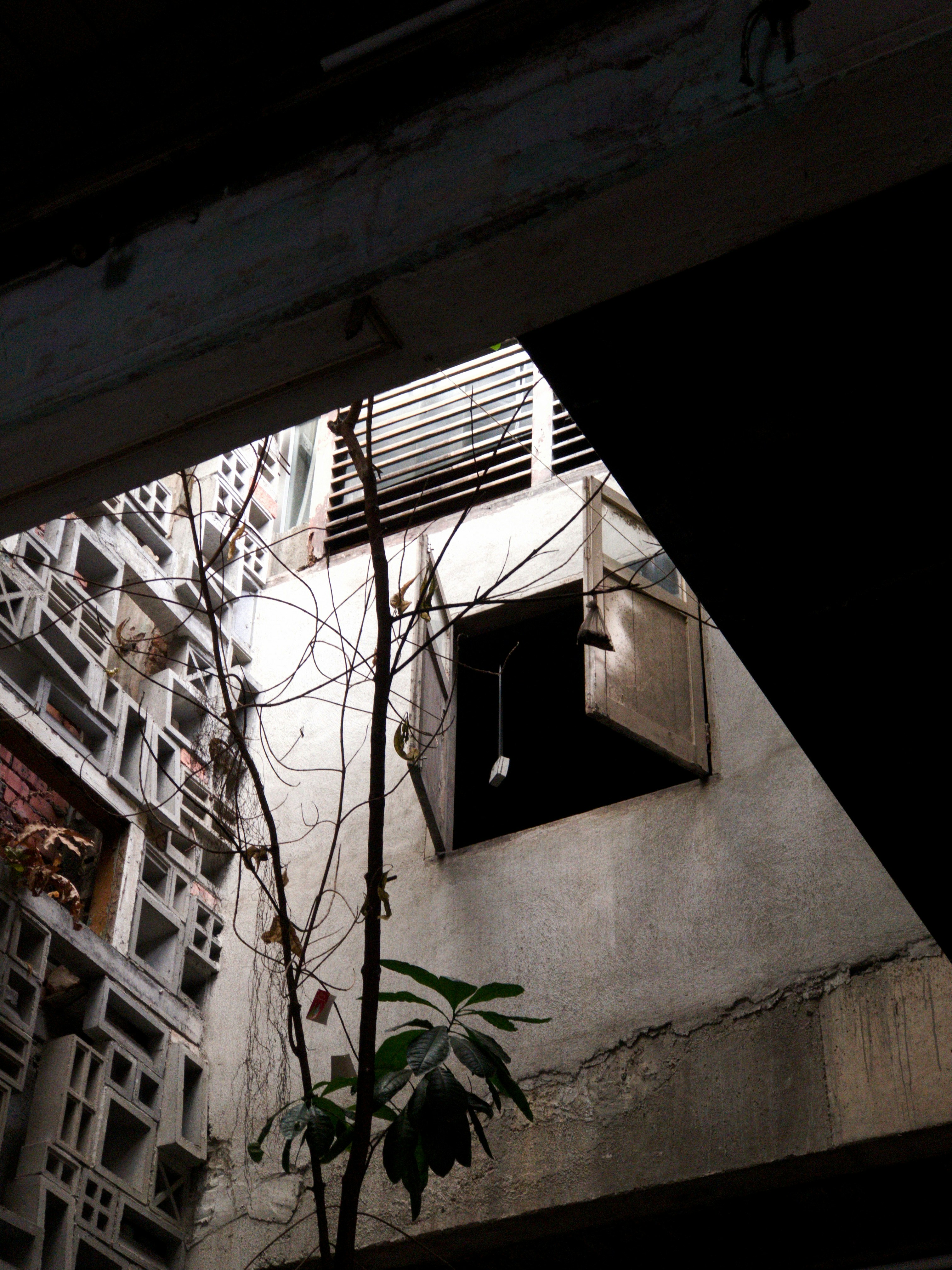 Mingle Pictures | Download Free Images on Unsplash