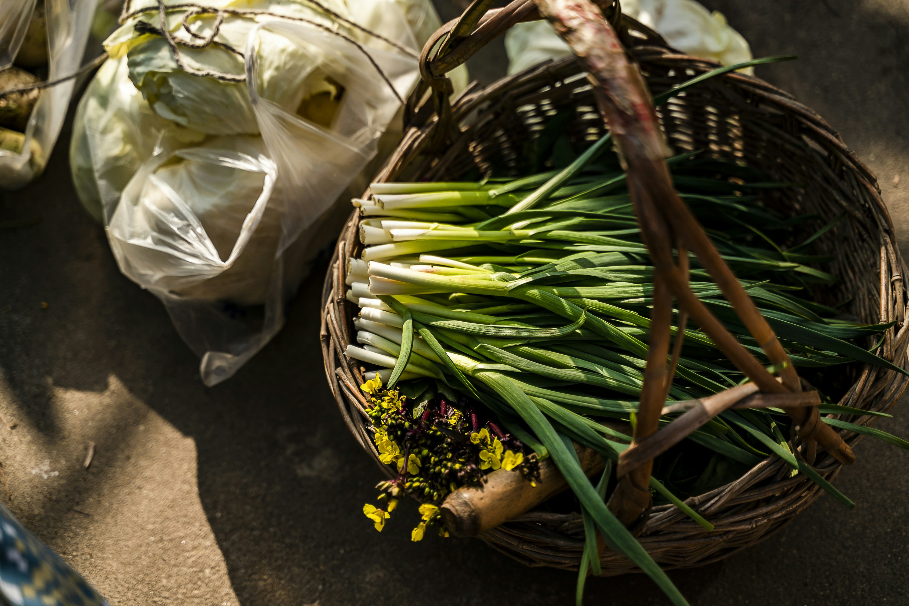 Sunlit scallions in a wicker basket: a market-day portrait
