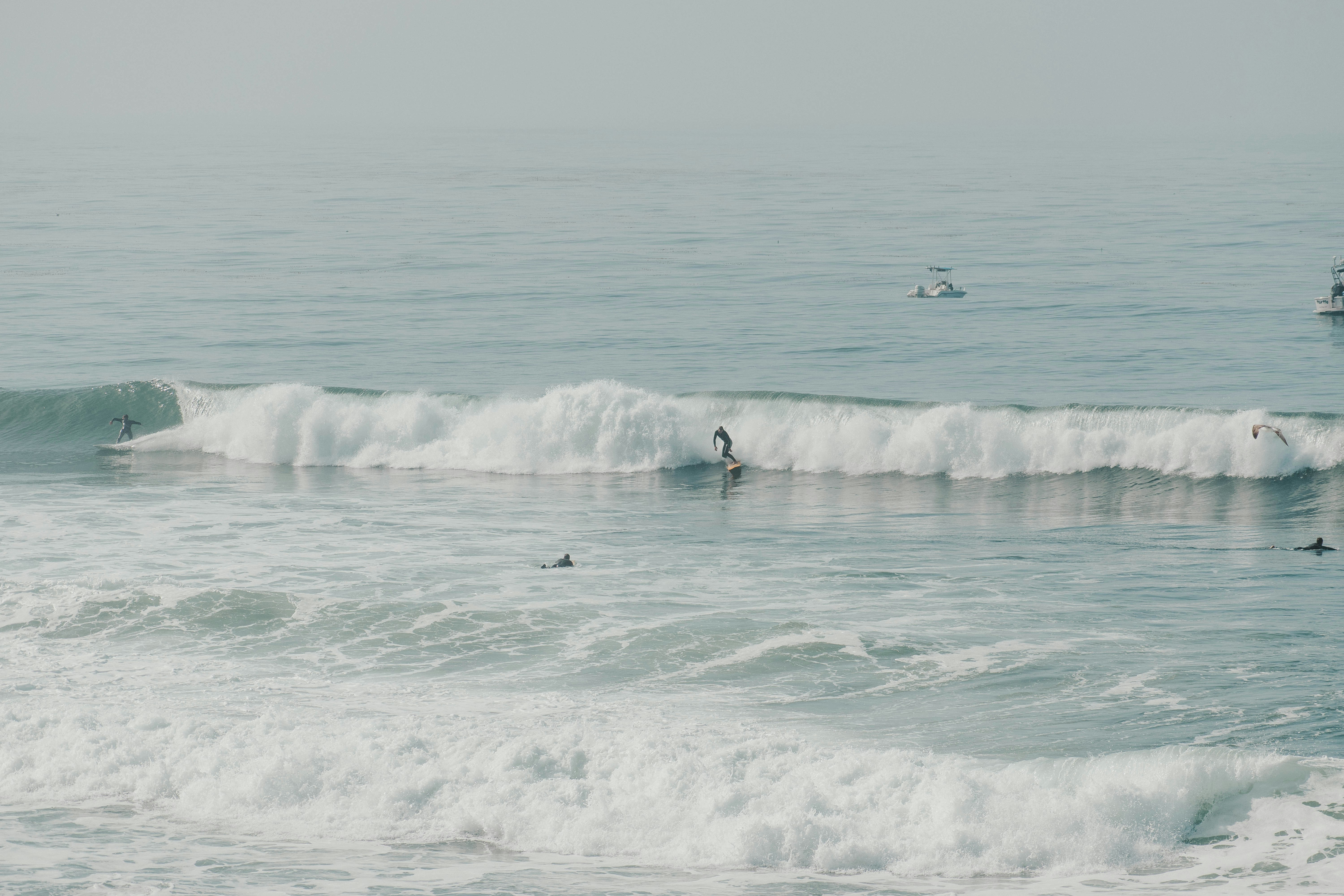 Foto Gente surfeando sobre las olas del mar durante el día – Imagen ...