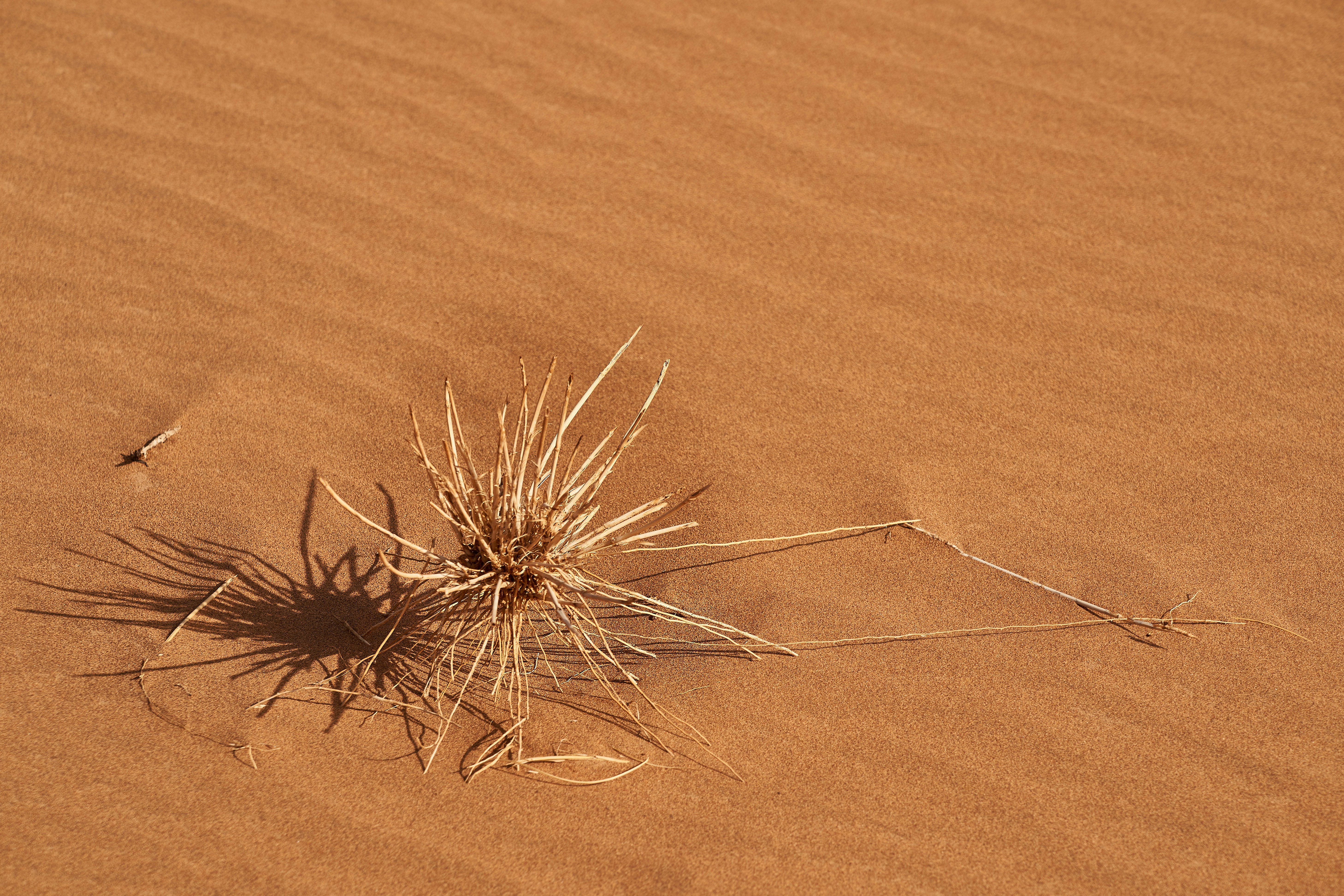 Textures with negative space | Unsplash