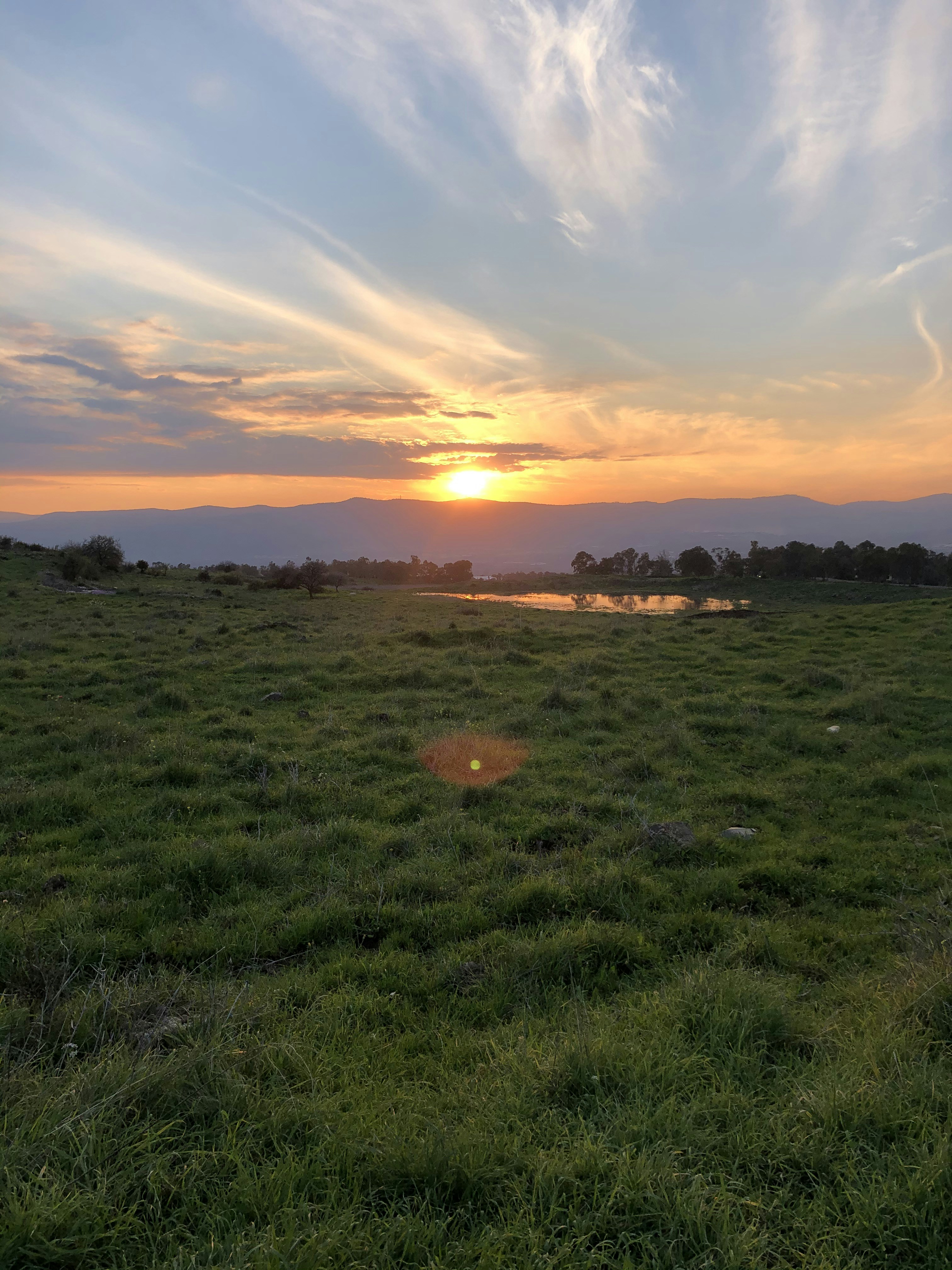 Ember on the Horizon: A Quiet Meadow at Sunset