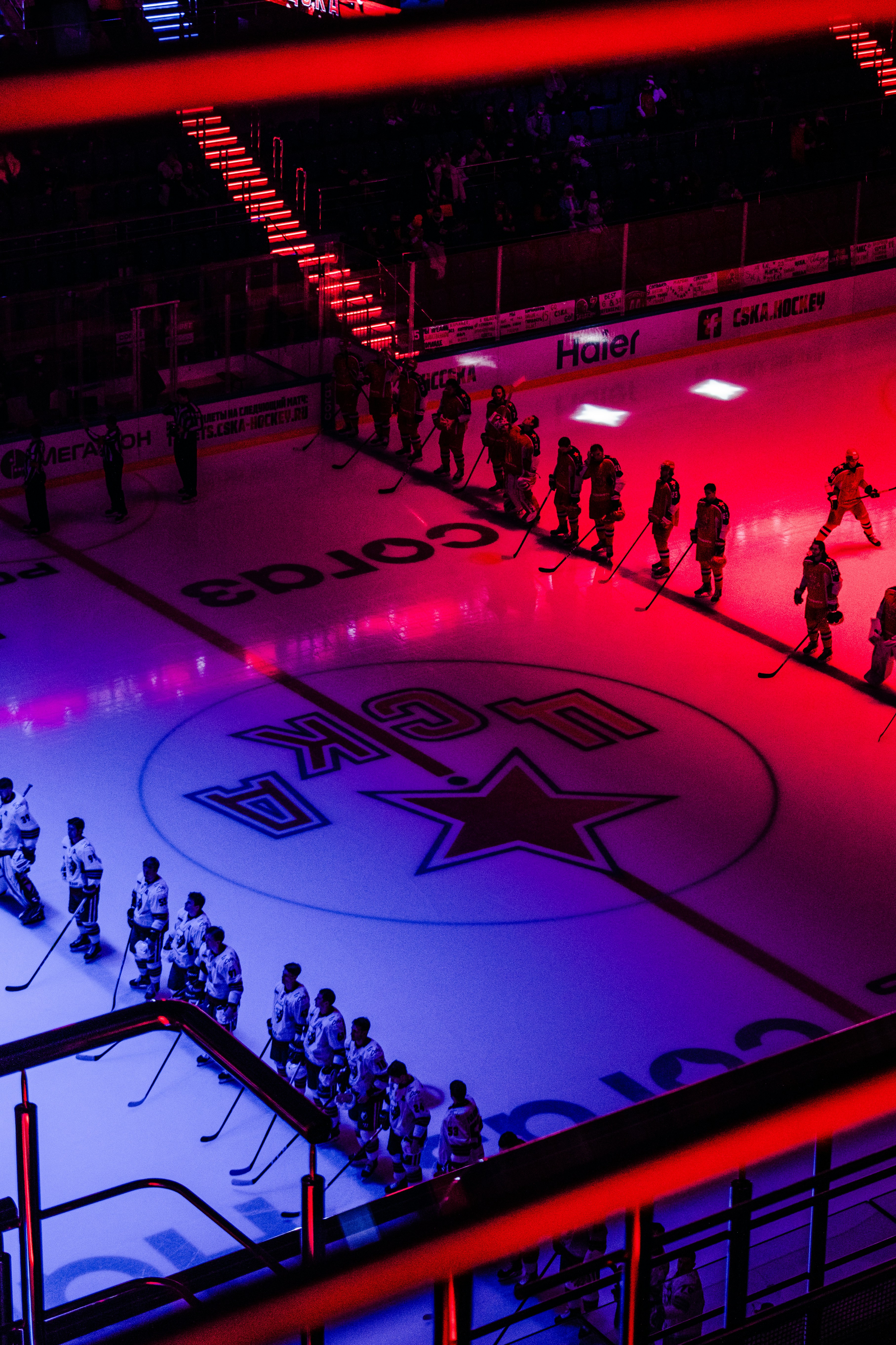 Center Ice Ritual Under Neon Rings