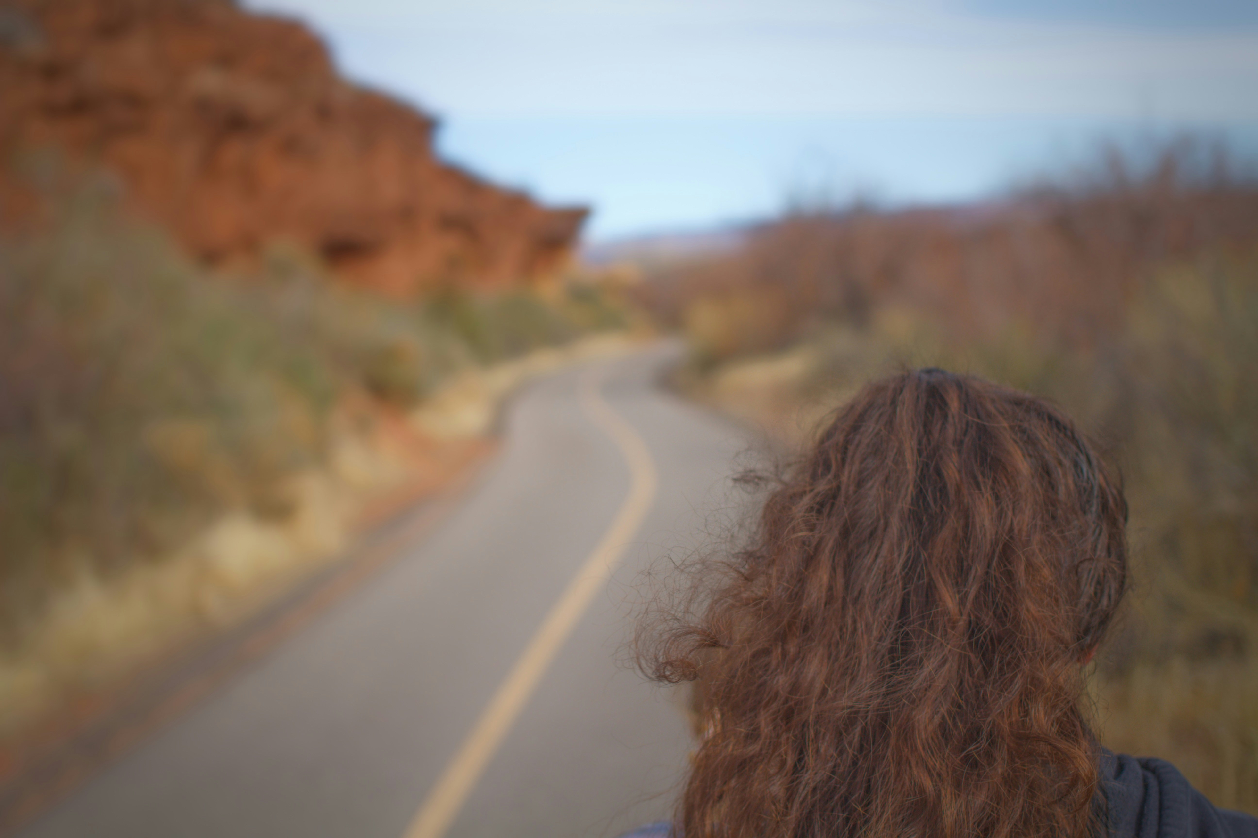 Back to the Curve: A Desert Road Portrait