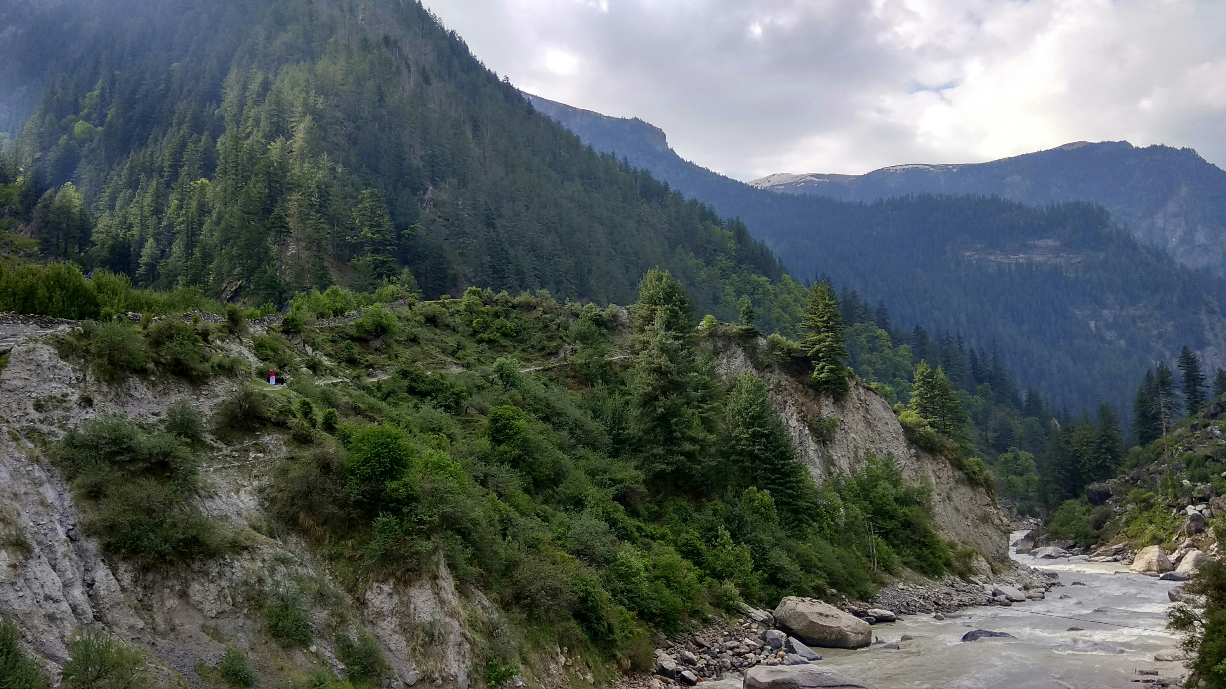 Expansive landscape photograph of a rocky river winding through a pine-clad valley, with forested slopes and distant mountains. It emphasizes natural textures and depth from foreground stones to the distant peaks.