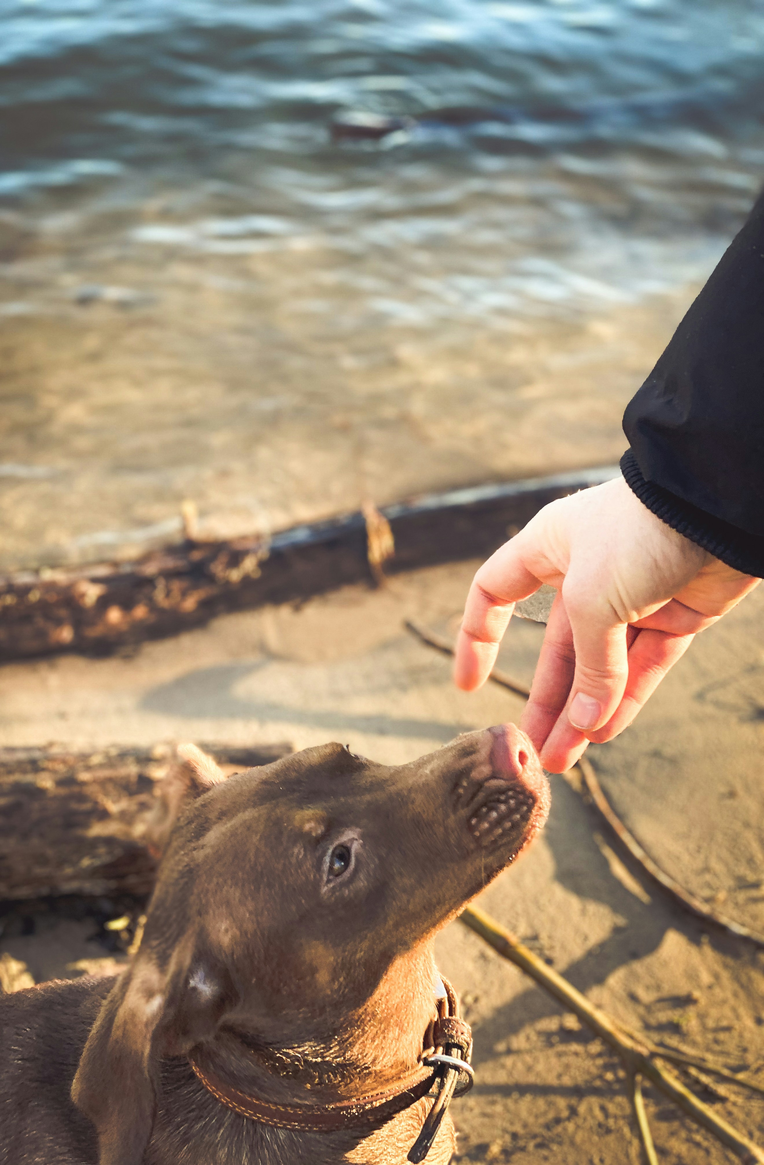 Recall vs. Retrieve - What's the Difference? | This vs. That