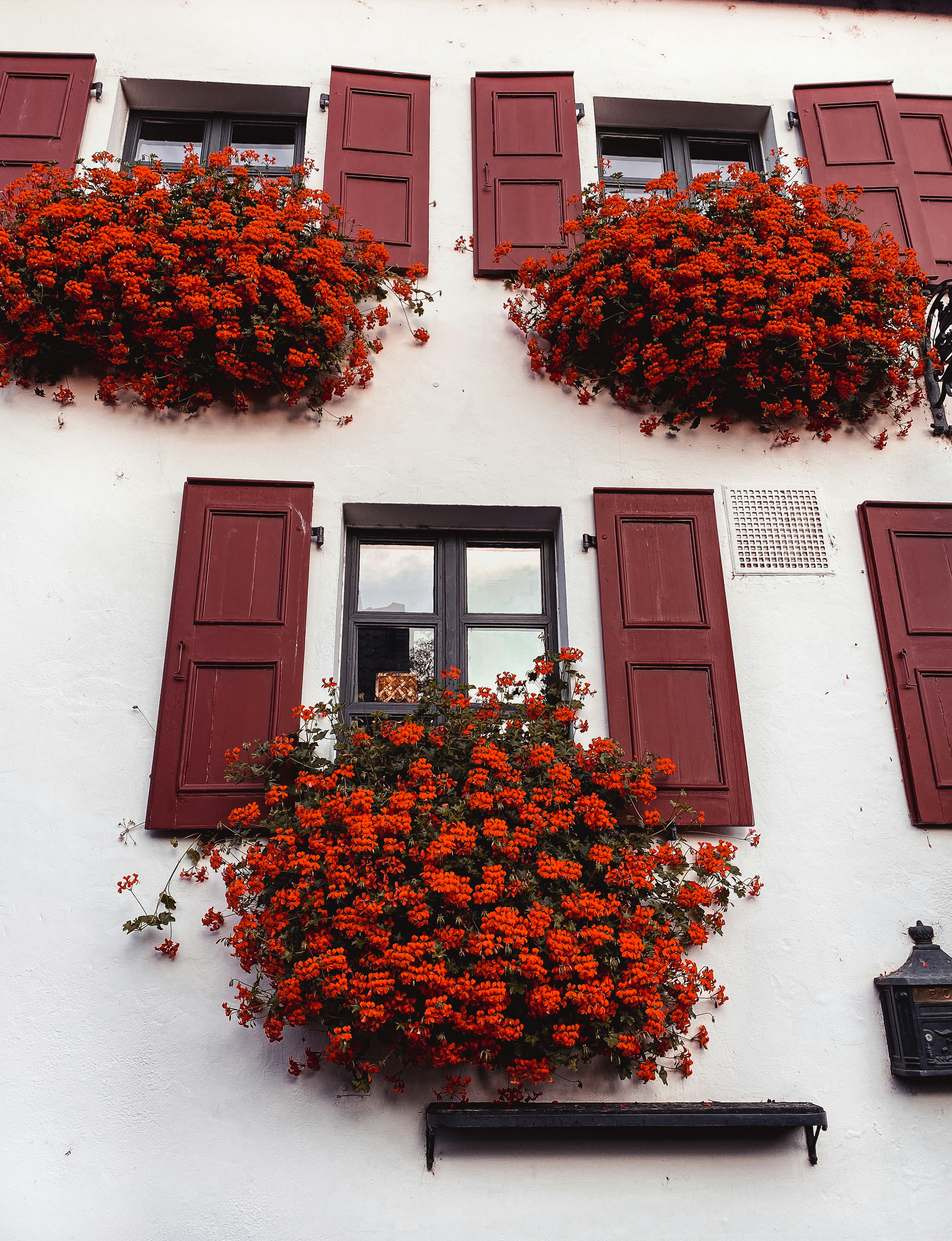 Crimson Cascade: Flower Boxes Framing a White Facade