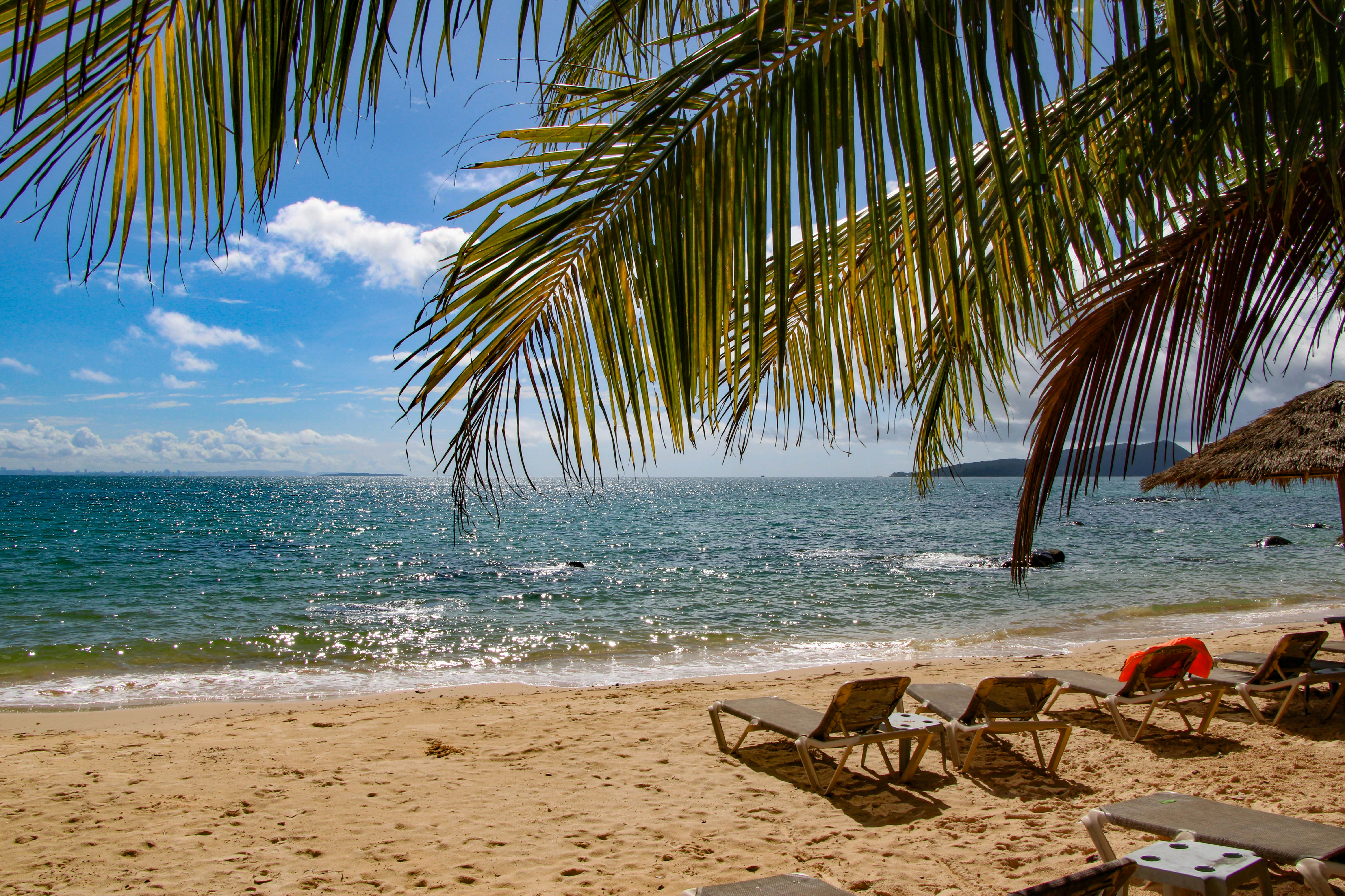 Lethargic Pictures | Download Free Images on Unsplash