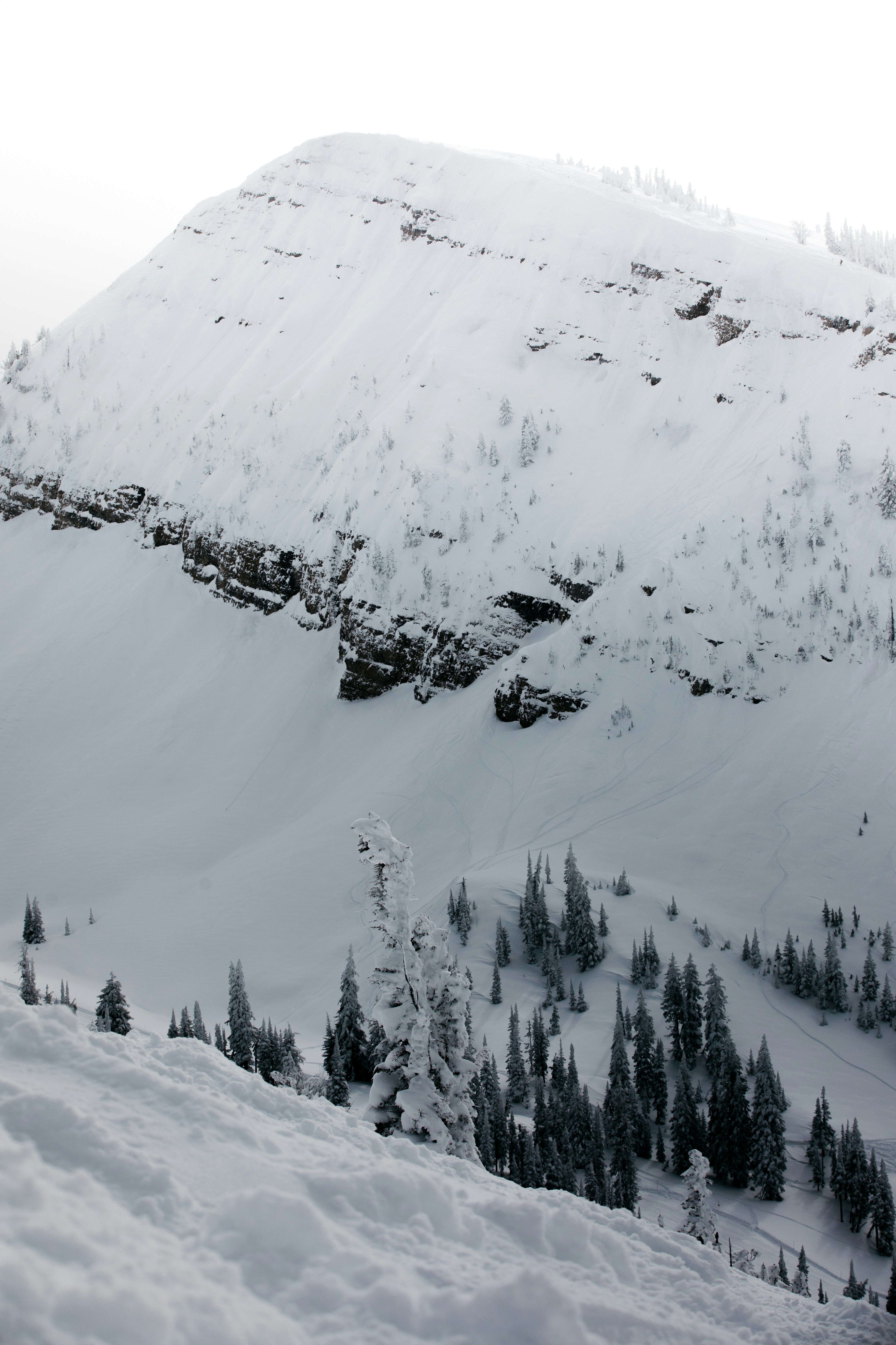 Snow-laden mountain slope with trees dusted in white, under a bright, overcast sky.