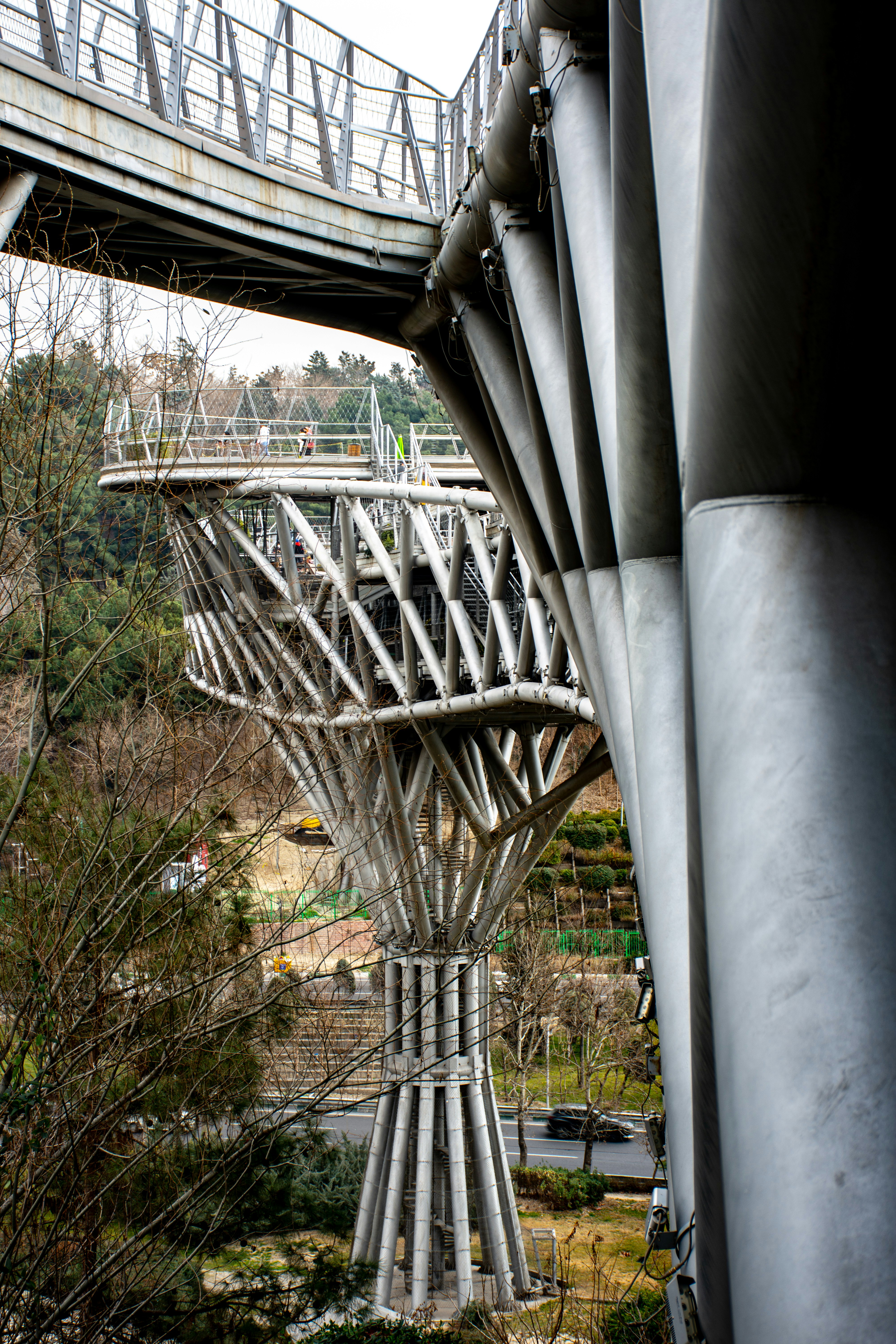 Innovative tree-like structure supporting a walkway, showcasing modern architectural design amidst natural surroundings.
