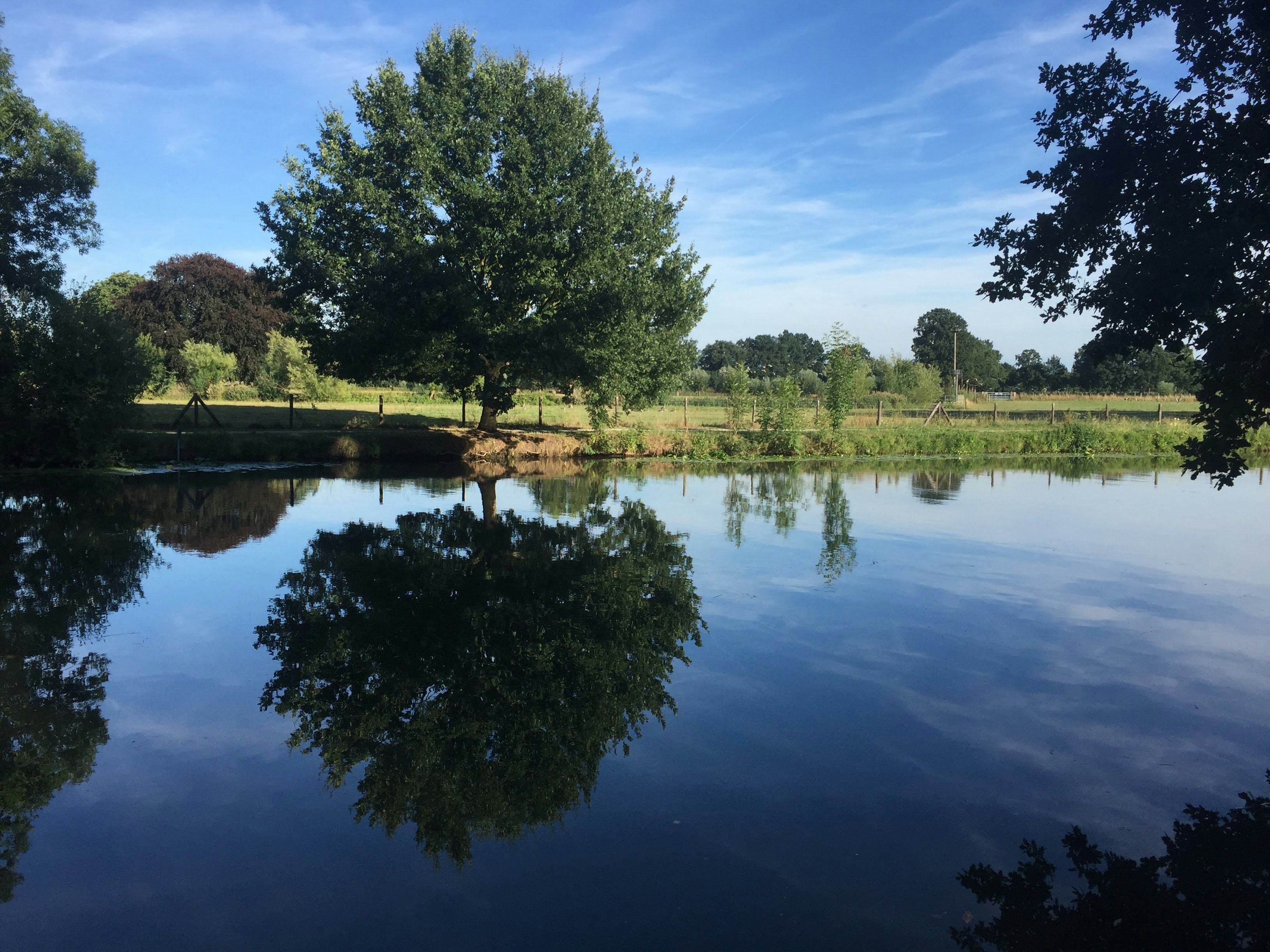 Reflections of Tranquility