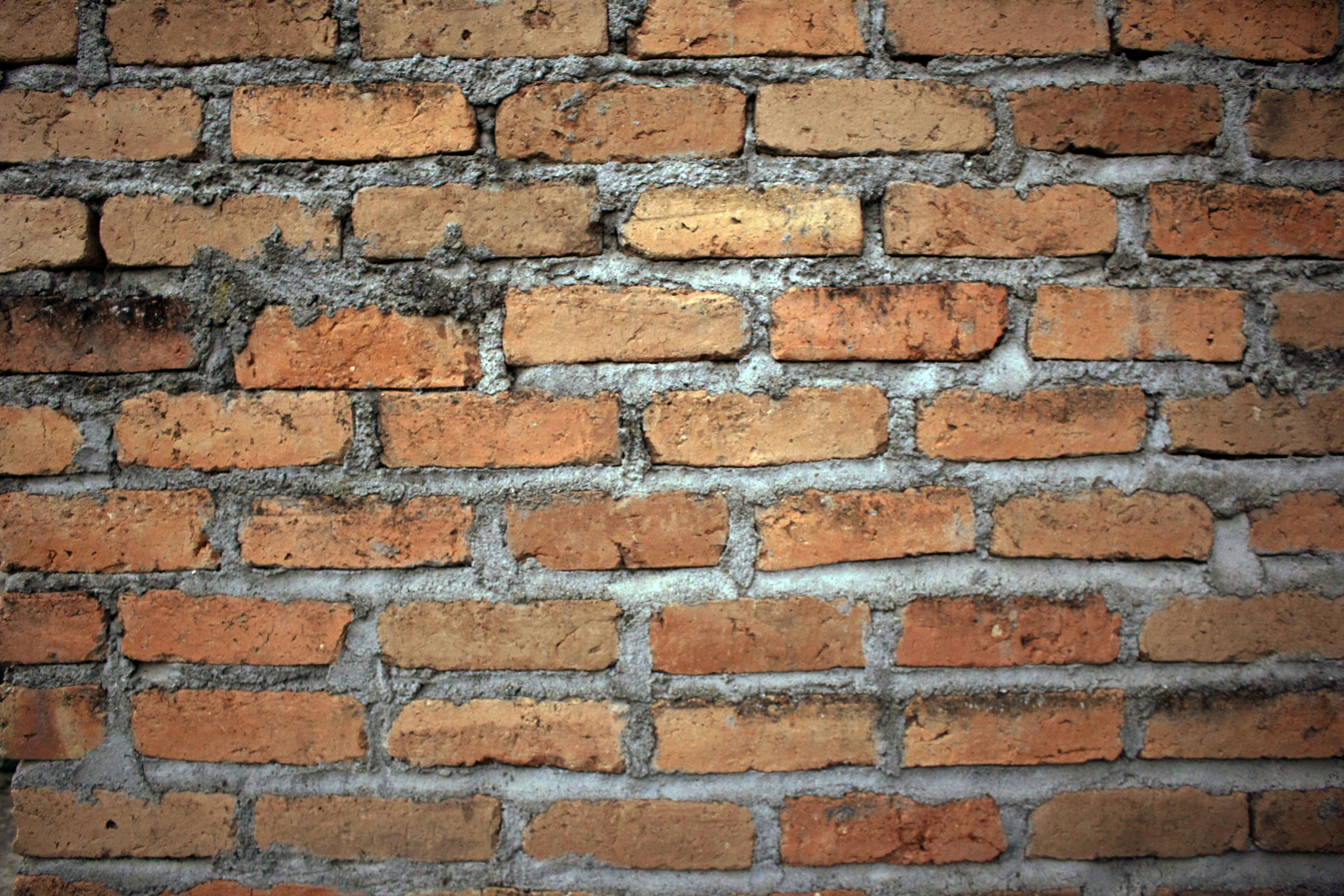 Close-up view of a weathered brick wall showcasing the unique textures and colors of aged bricks and mortar.