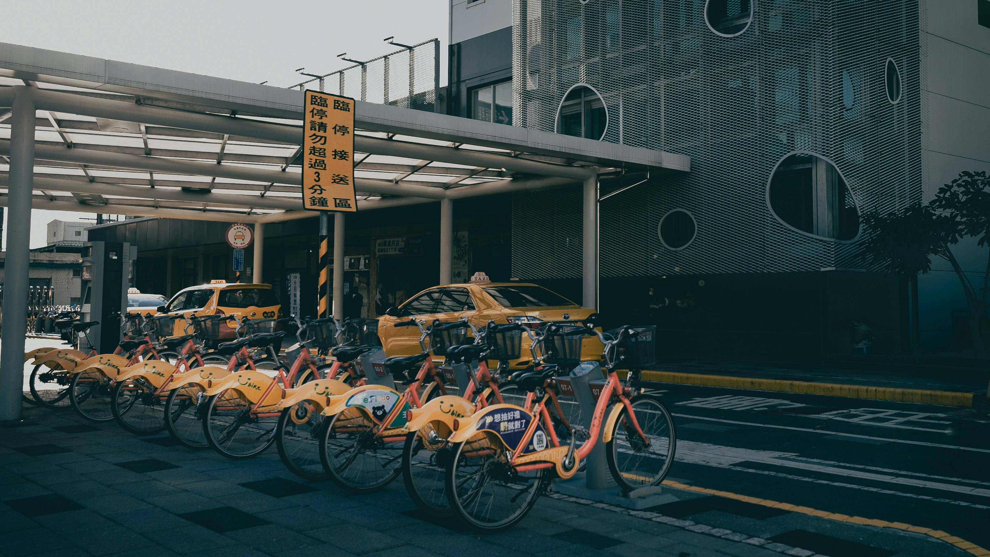 Urban Harmony: Cycles and Cabs