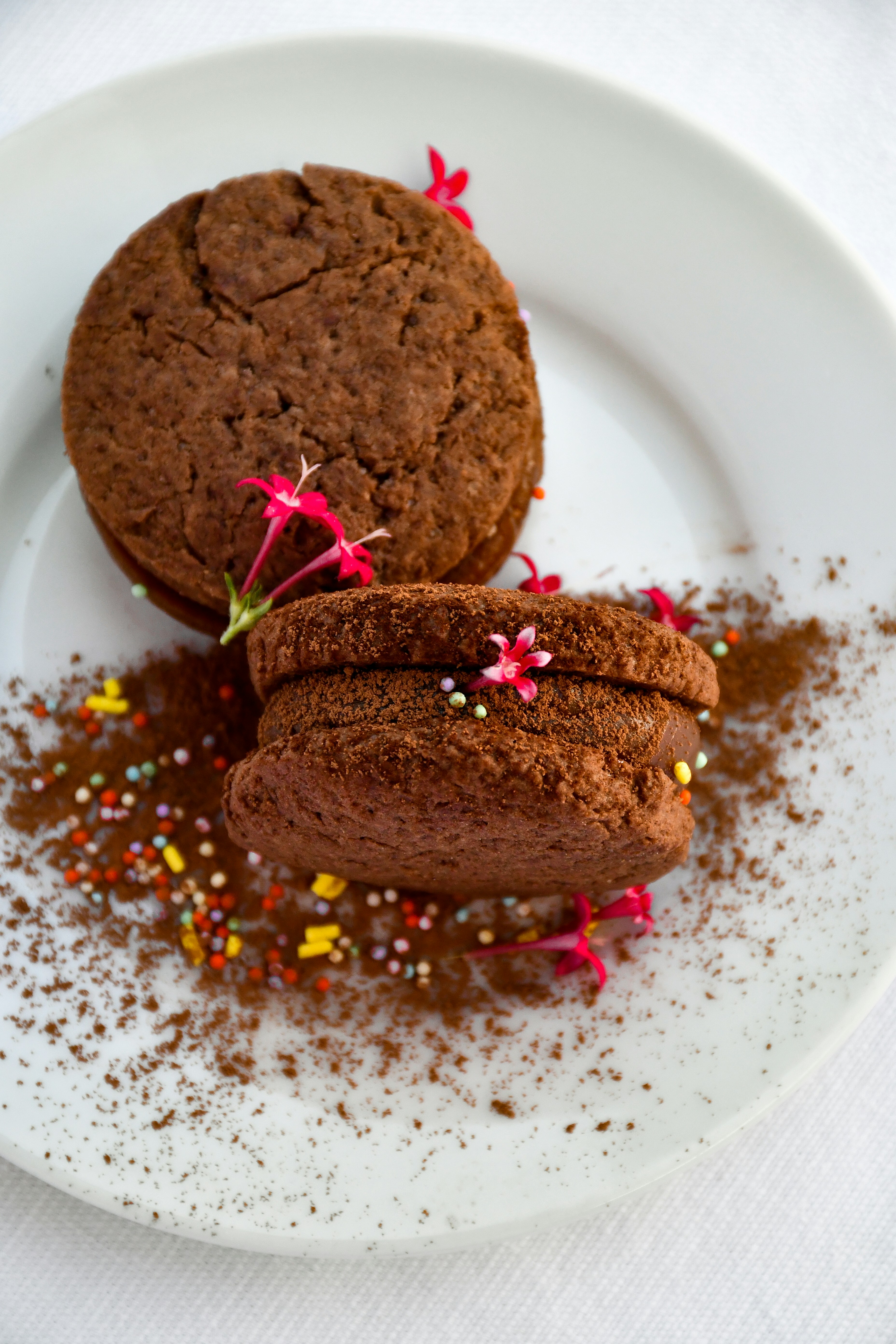 Azucar Pictures | Download Free Images on Unsplash