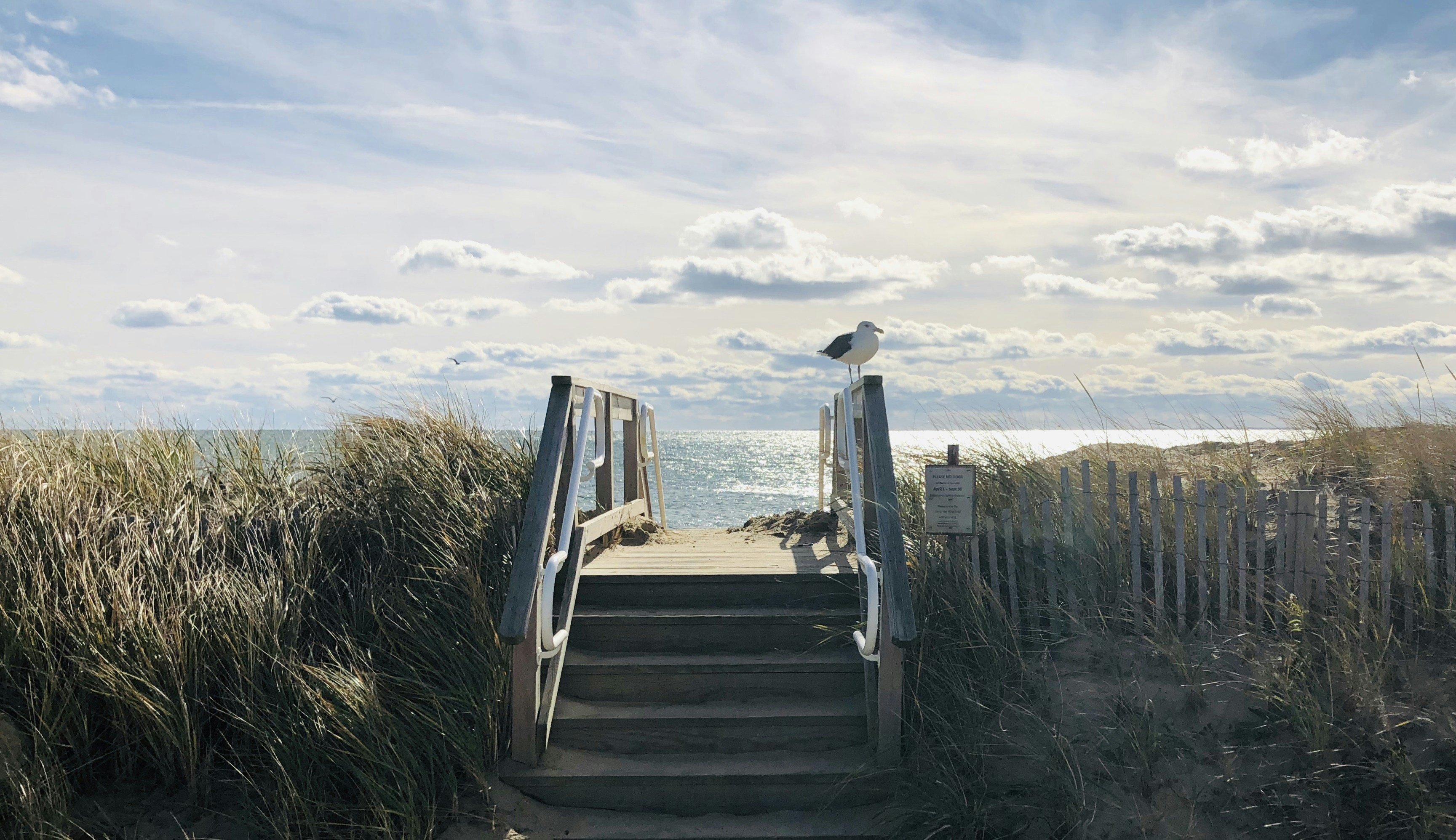 Cape Cod Pictures | Download Free Images on Unsplash