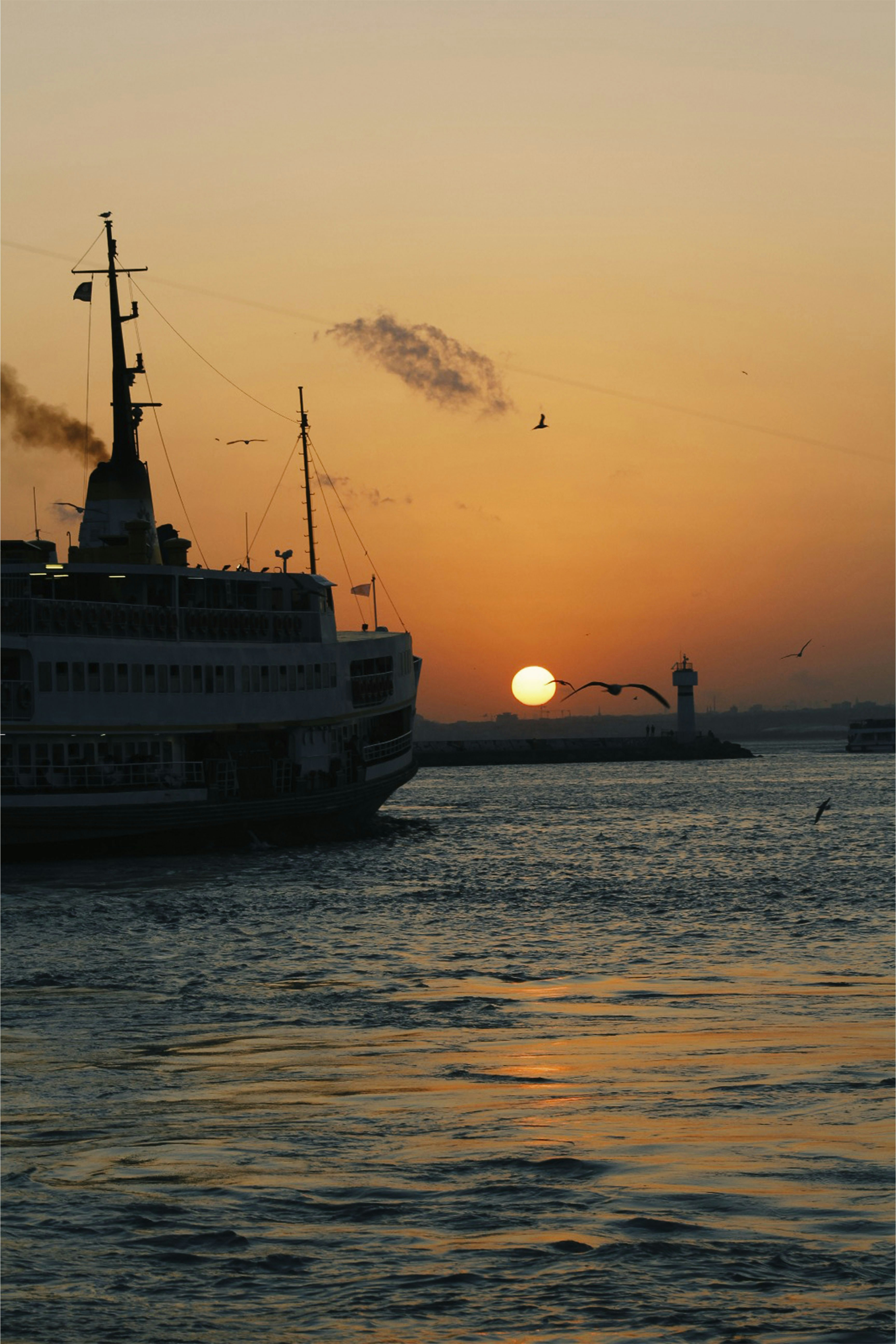 Sunset Harbor Silhouette: The Sun, a Passenger Vessel, and Seabird Flight