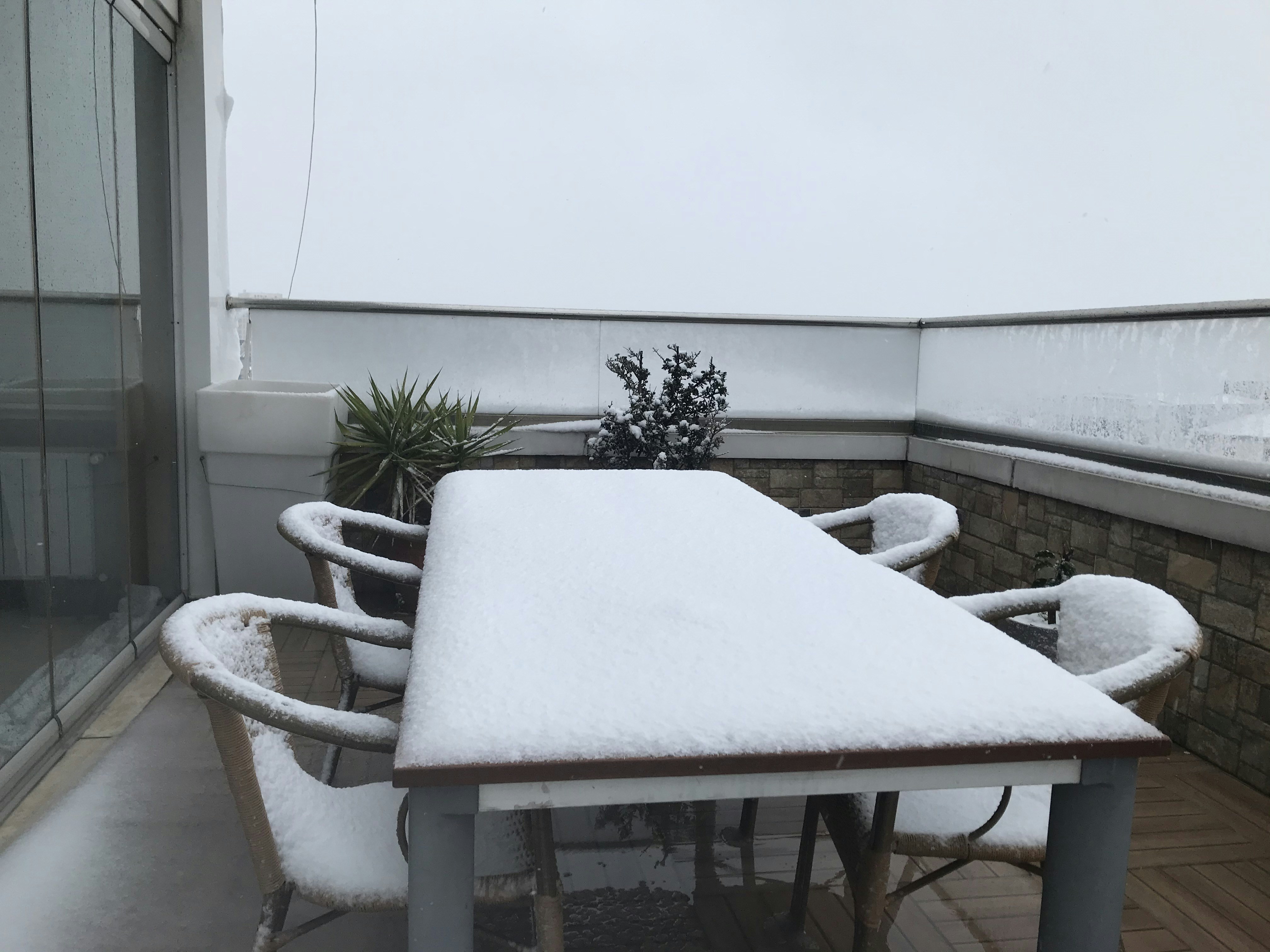 Snow-covered table and chairs on a balcony, with a solitary plant adding a touch of life against the white backdrop.