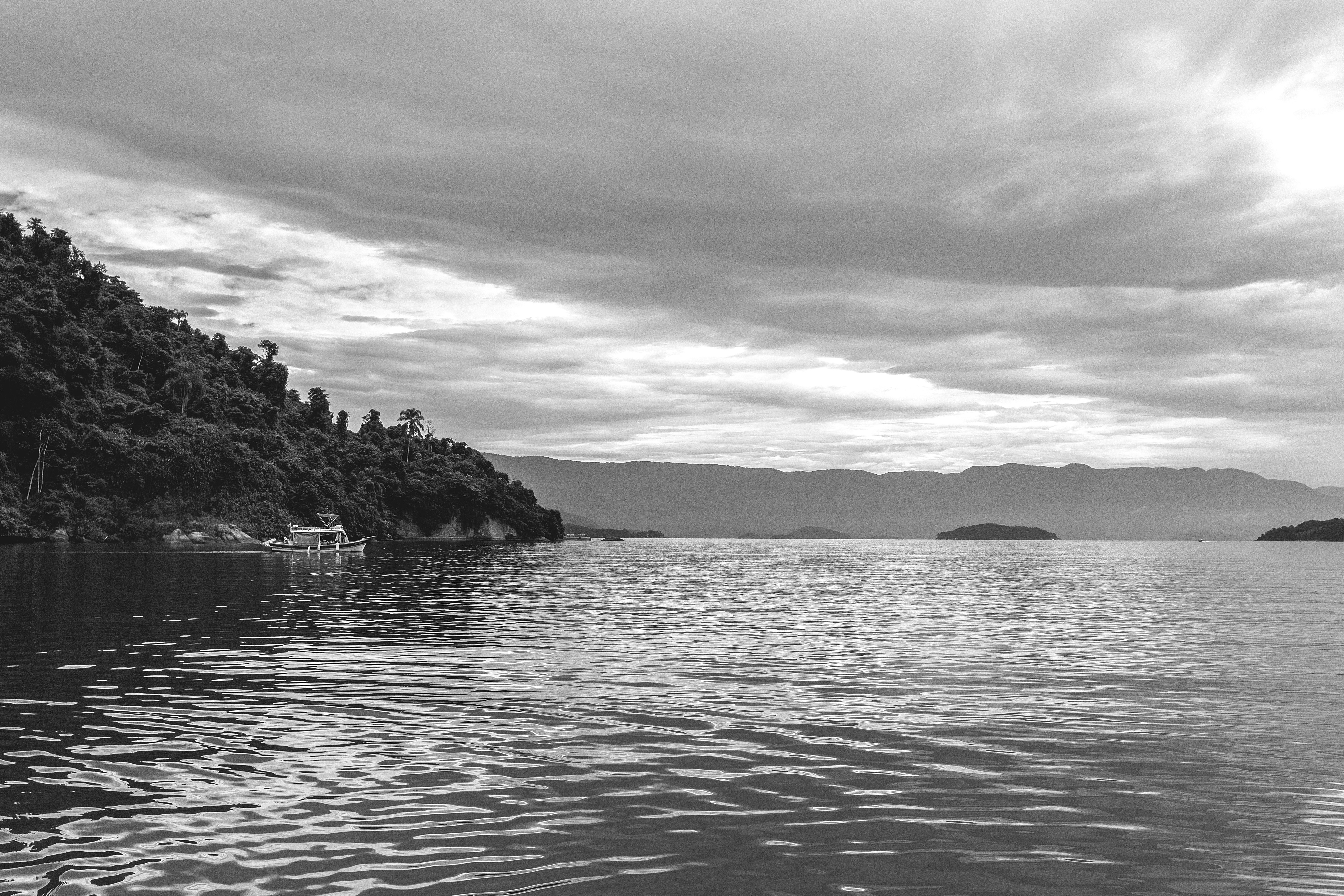 John Michael Wilyat (@johnnydubu) | Unsplashフォトコミュニティ